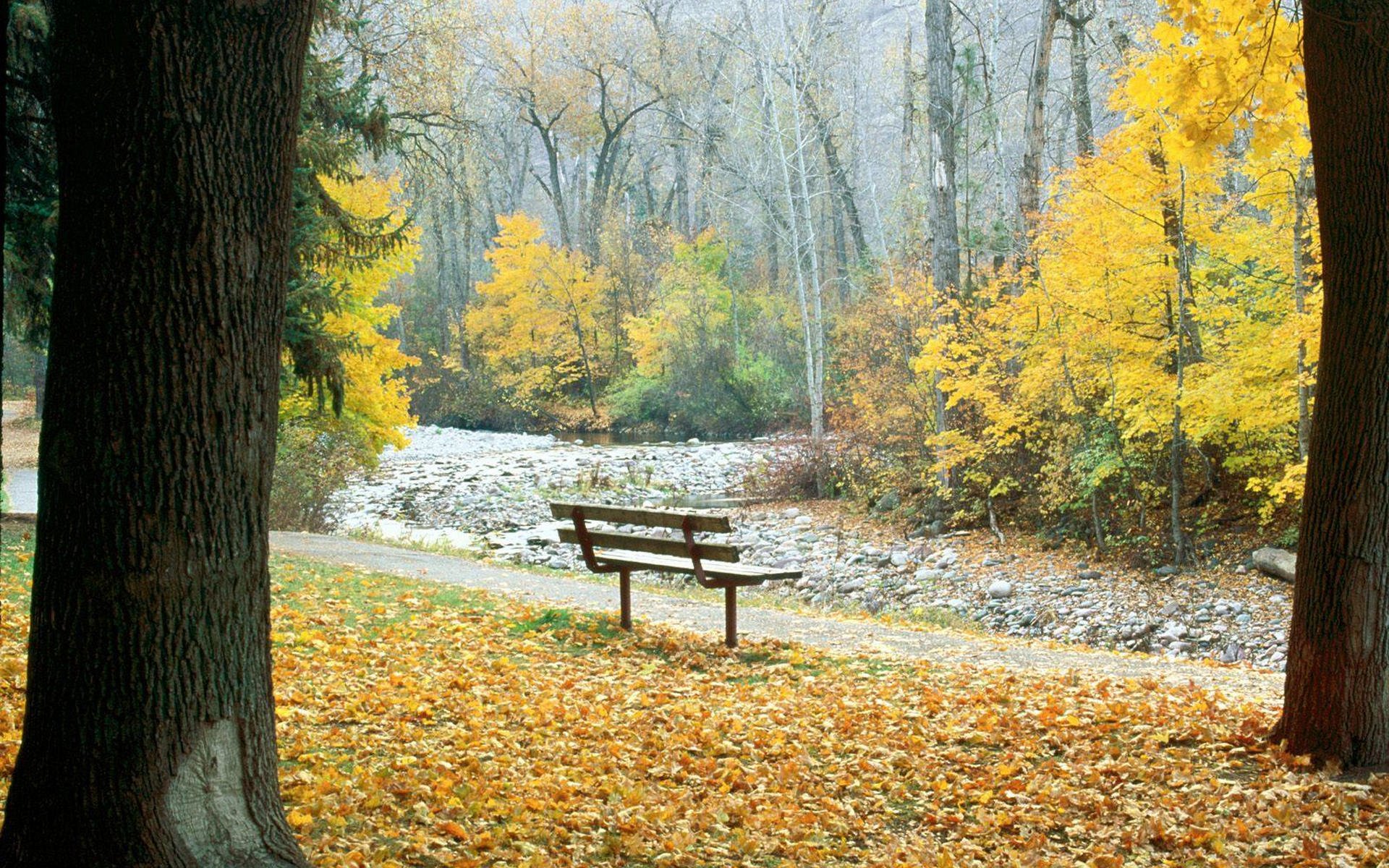 Download Man Made Bench HD Wallpaper | 1920x1200 | Wallpaper Abyss