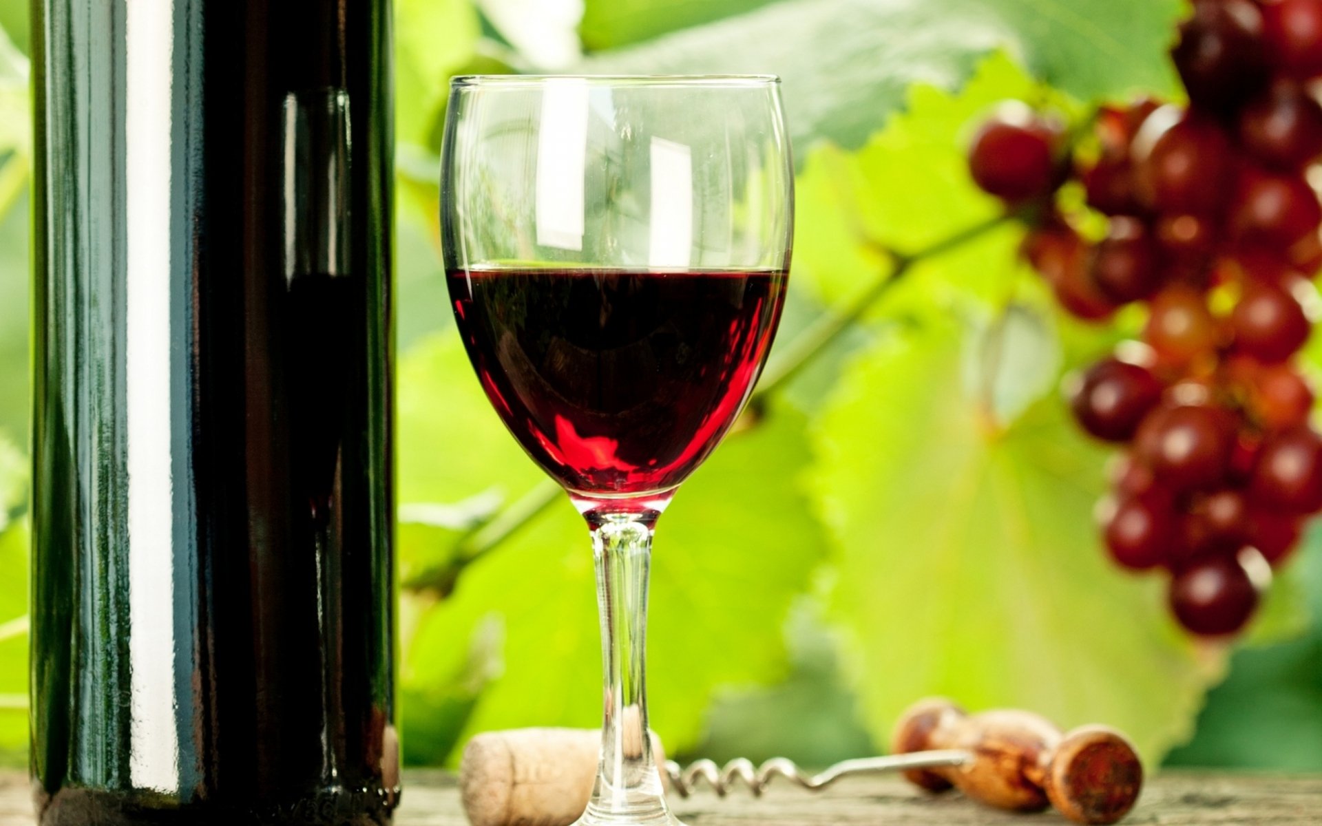 2K Quad HD Wallpaper — Lush Vineyard Wine & Grapes | 2560x1600 ...