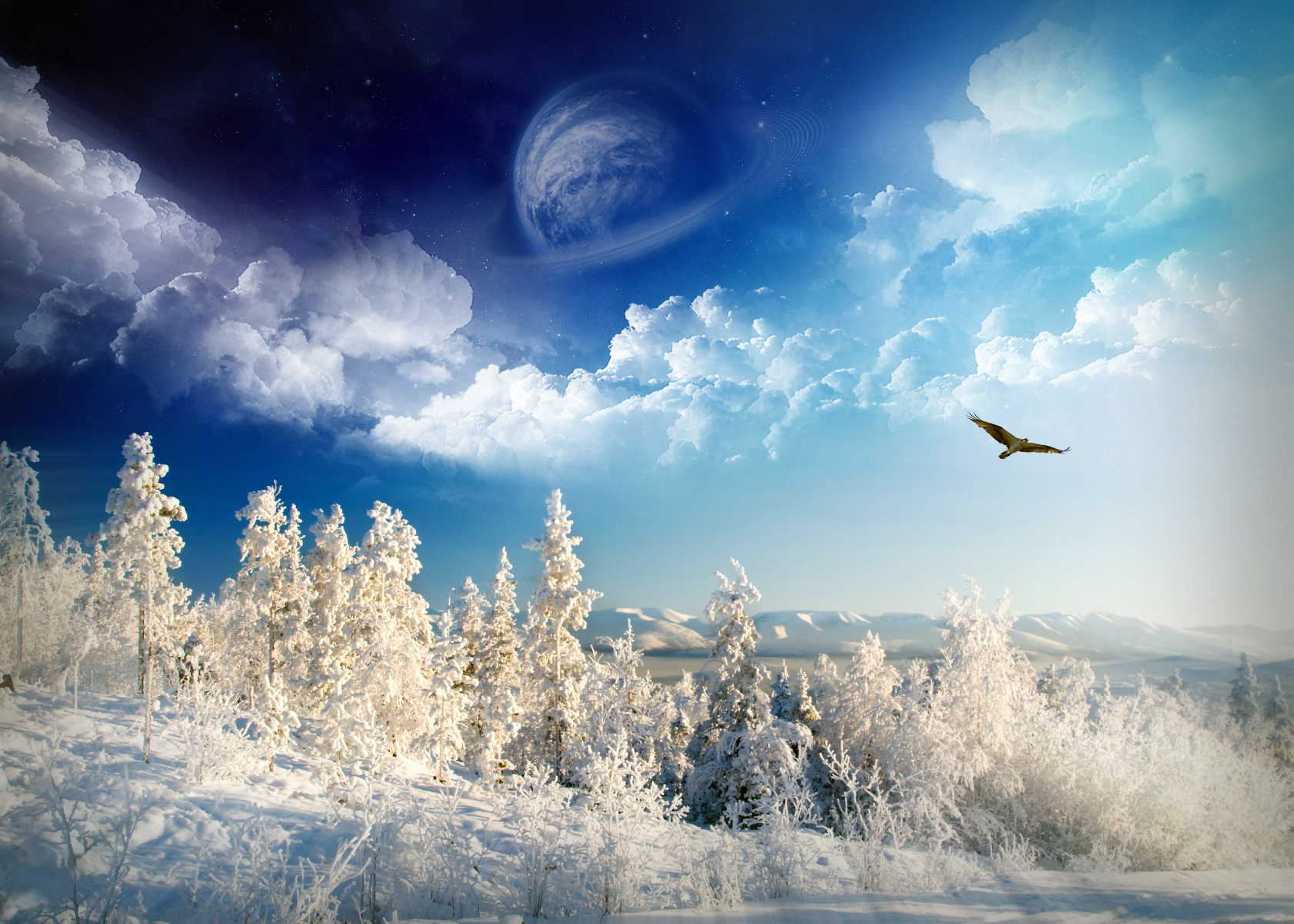 Download Photography Manipulation Wallpaper