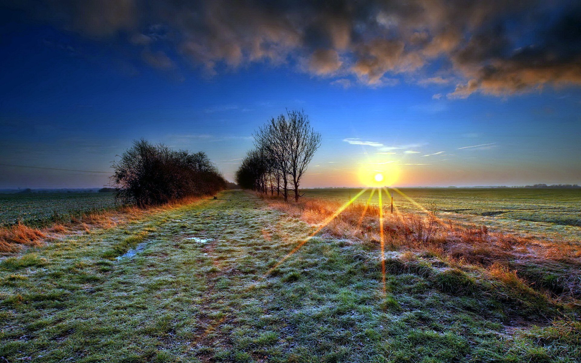 Download Nature Sunbeam HD Wallpaper | 1920x1200 | Wallpaper Abyss