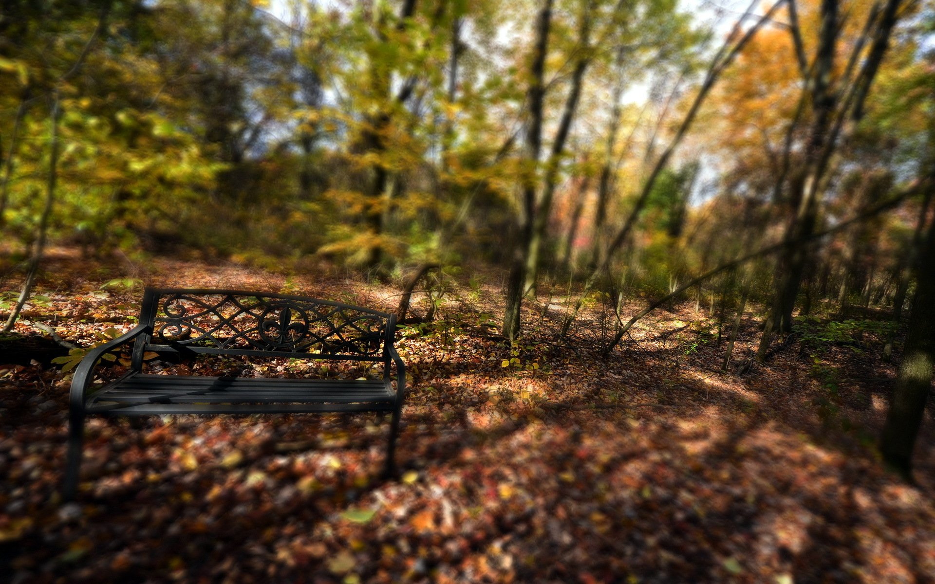 Download Man Made Bench HD Wallpaper