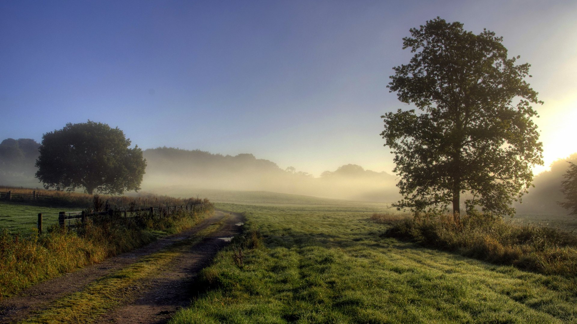 Download Nature Landscape HD Wallpaper | 2560x1440 | Wallpaper Abyss