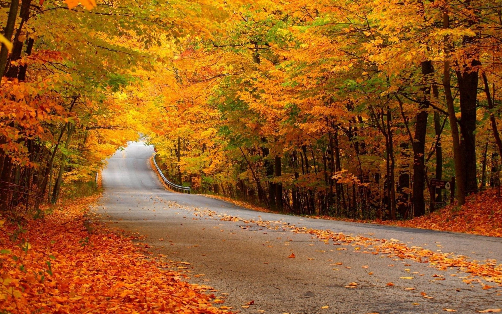 Download Man Made Road HD Wallpaper | 2560x1600 | Wallpaper Abyss
