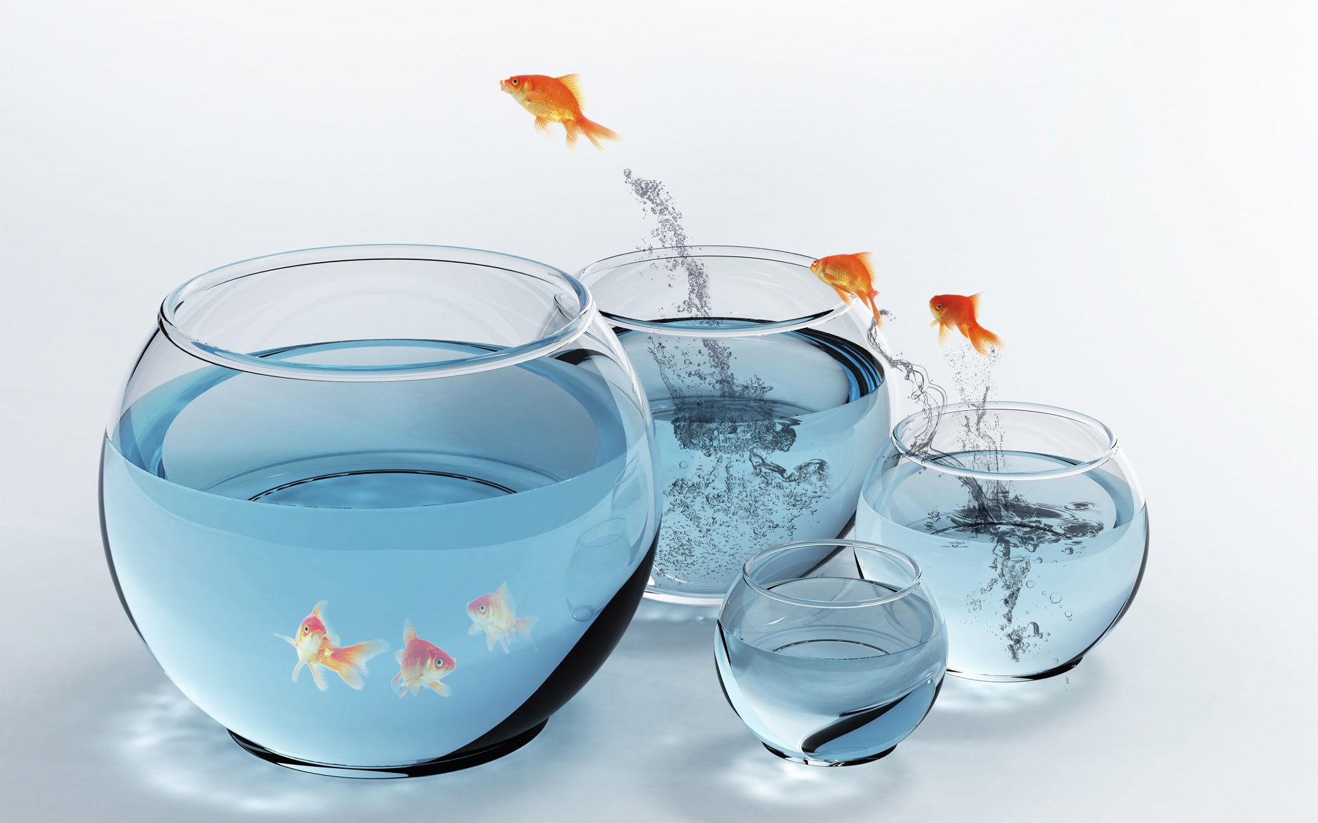 Stunning Goldfish HD Wallpaper: A Splash of Aquatic Beauty