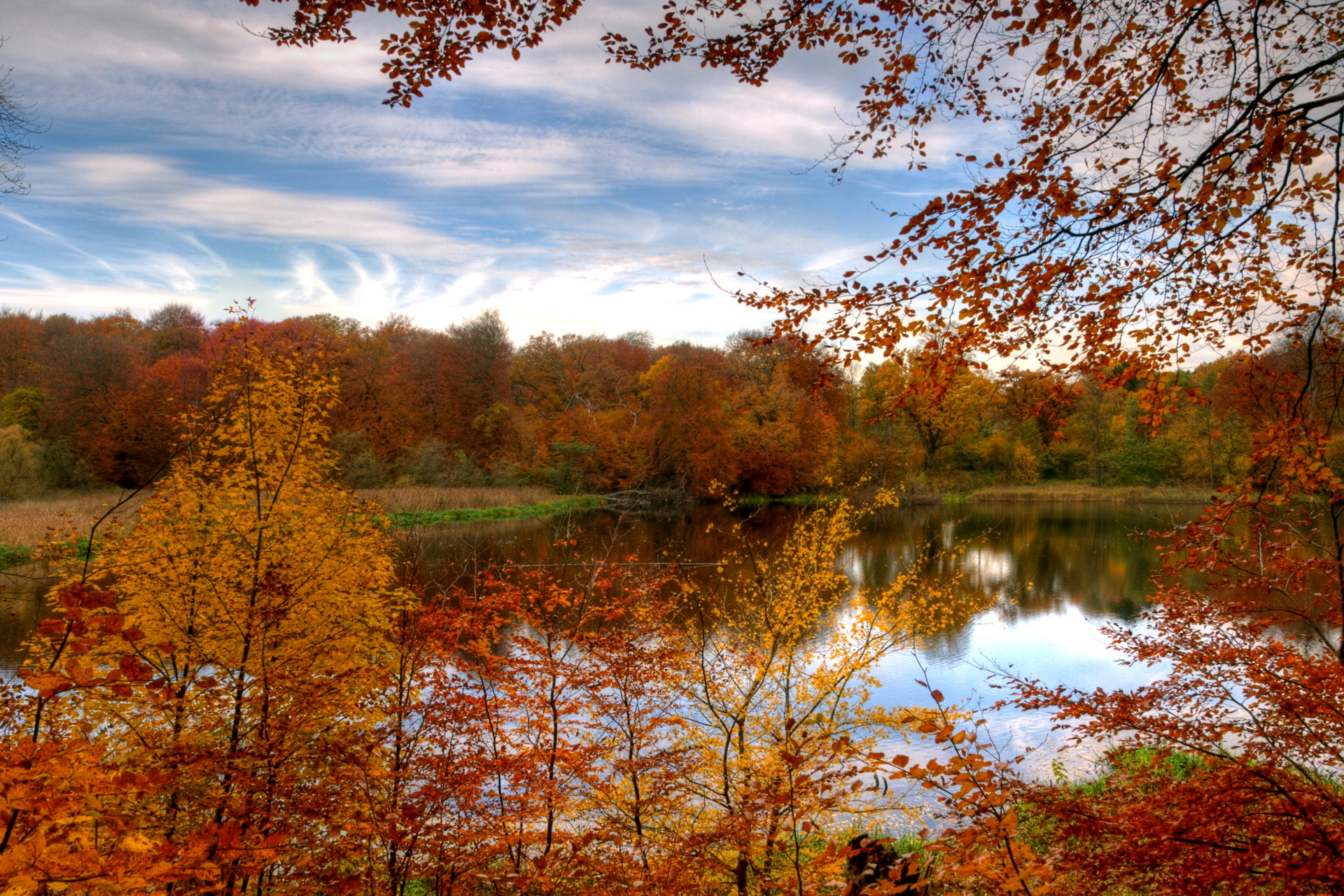 Serene Fall Reflections: HD Nature Wallpaper