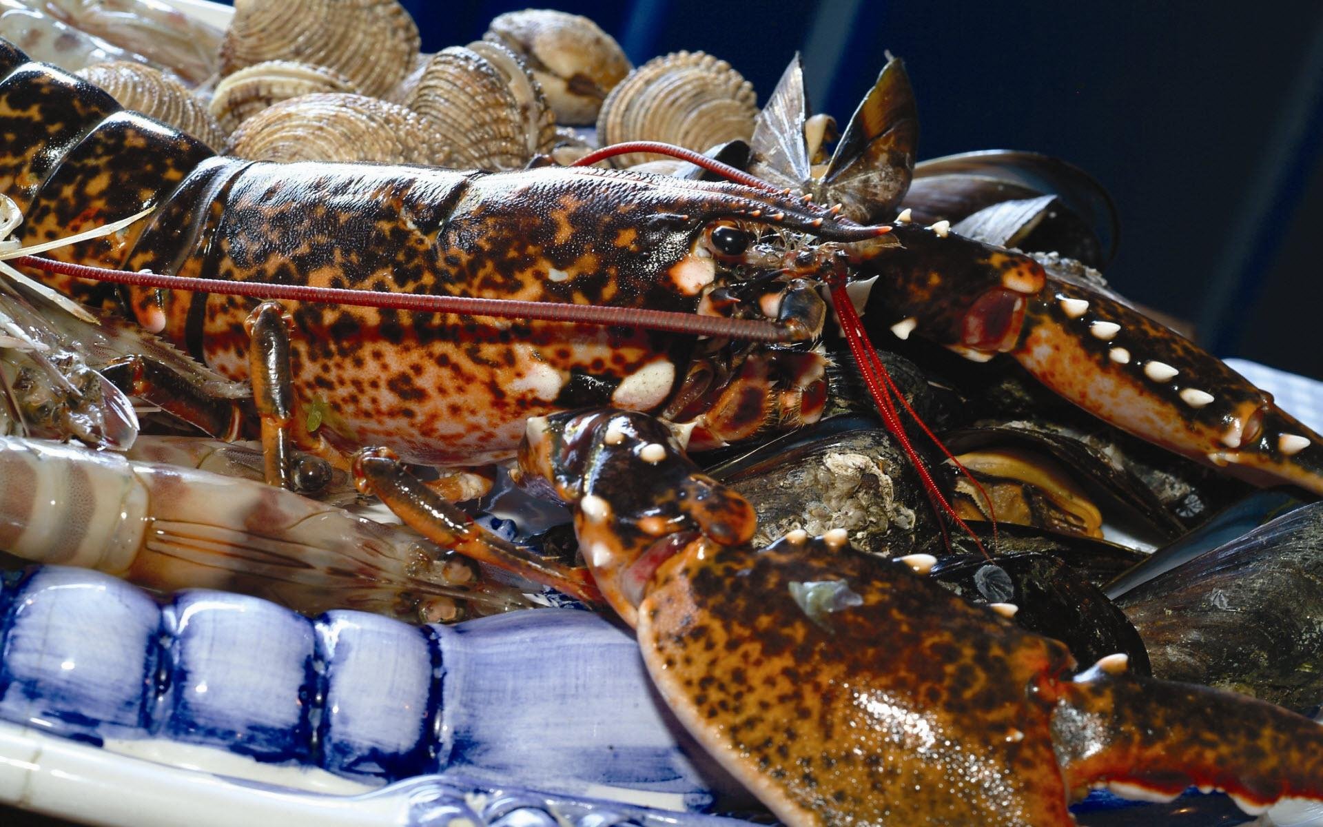 HD Lobster Delight: Fresh Seafood Feast Wallpaper