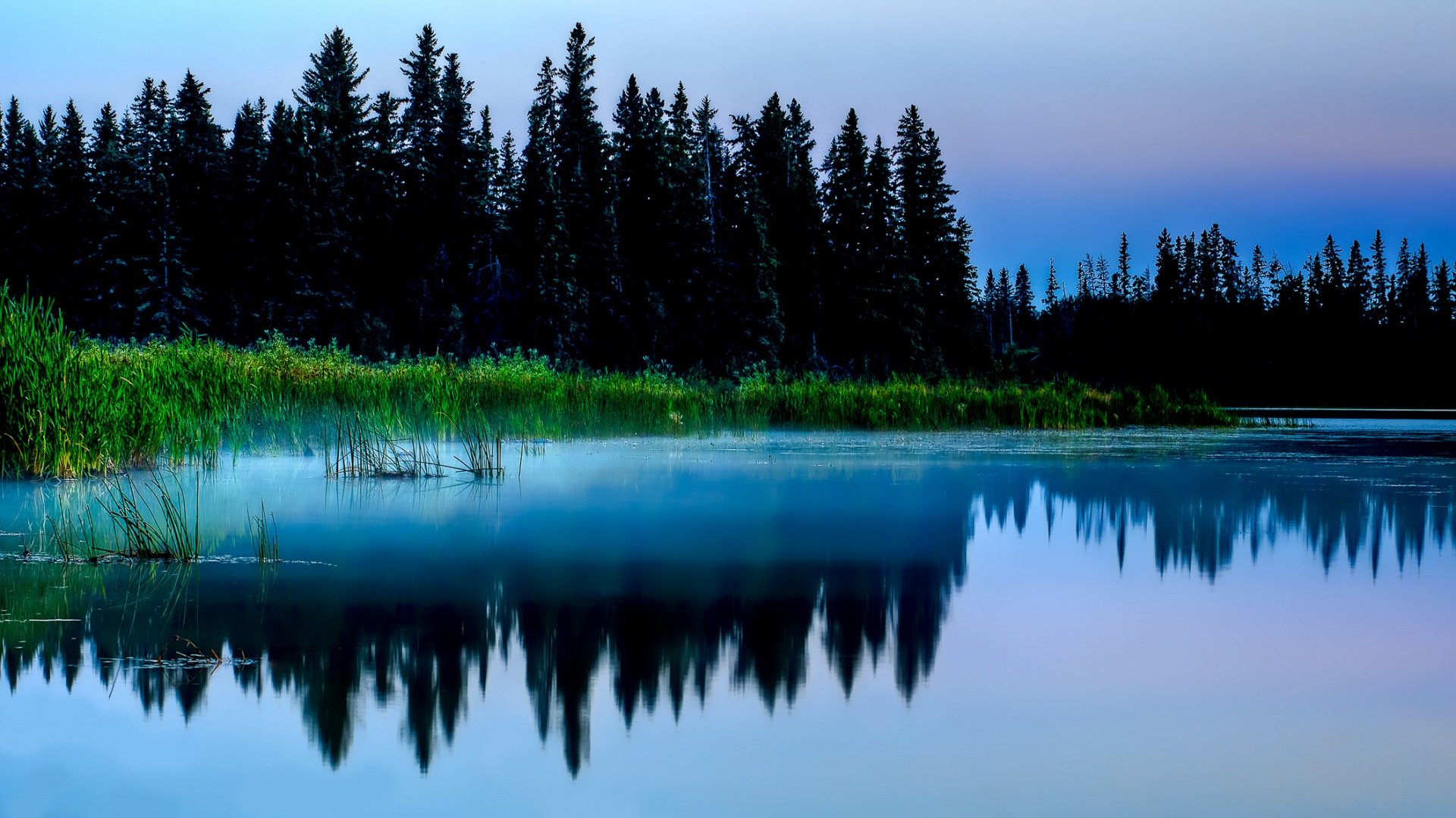 Download Nature Reflection HD Wallpaper