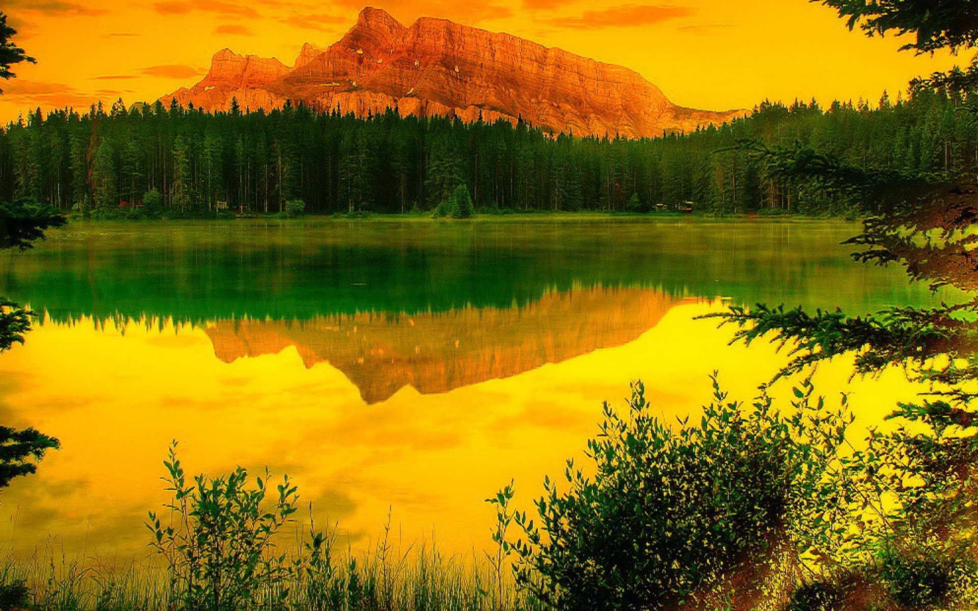 Download Nature Reflection HD Wallpaper