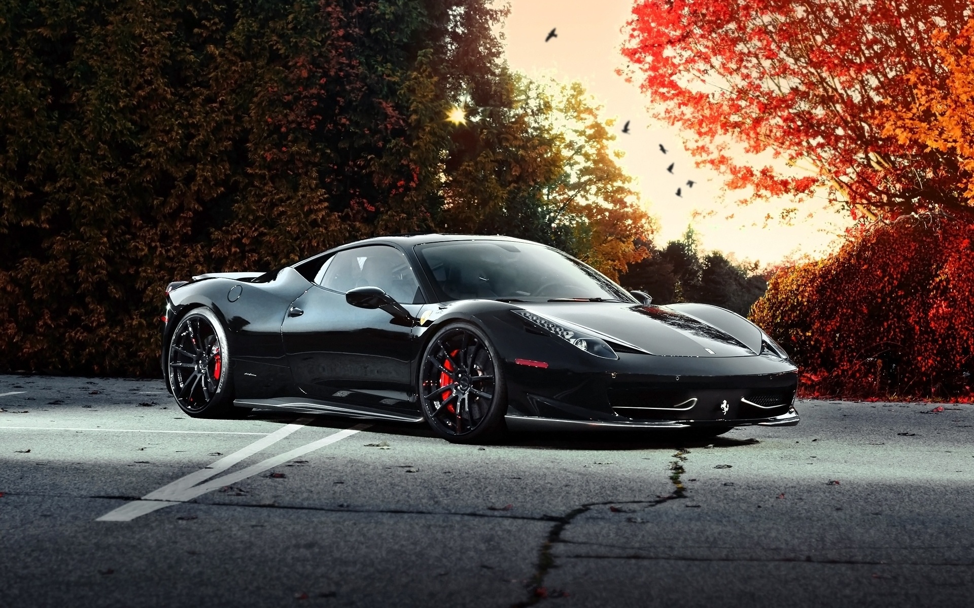 Download Vehicle Ferrari HD Wallpaper
