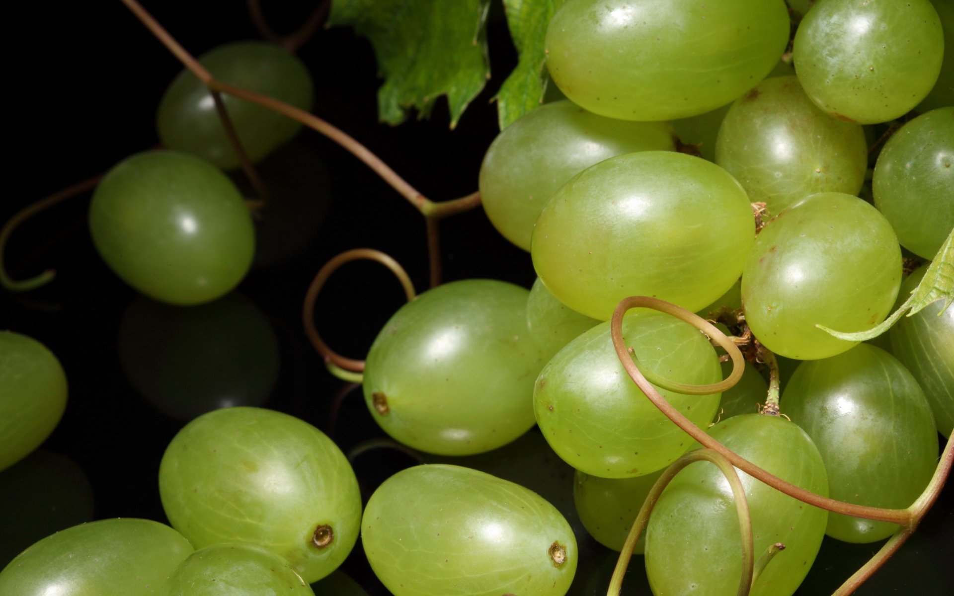Download Food Grapes HD Wallpaper