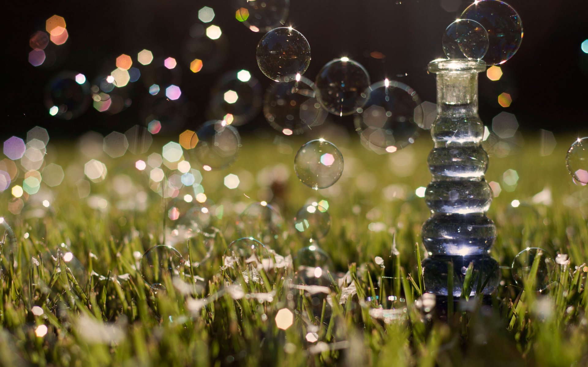 2K Quad HD Wallpaper — Close-Up Meadow Bokeh & Bubbles | 2560x1600 ...