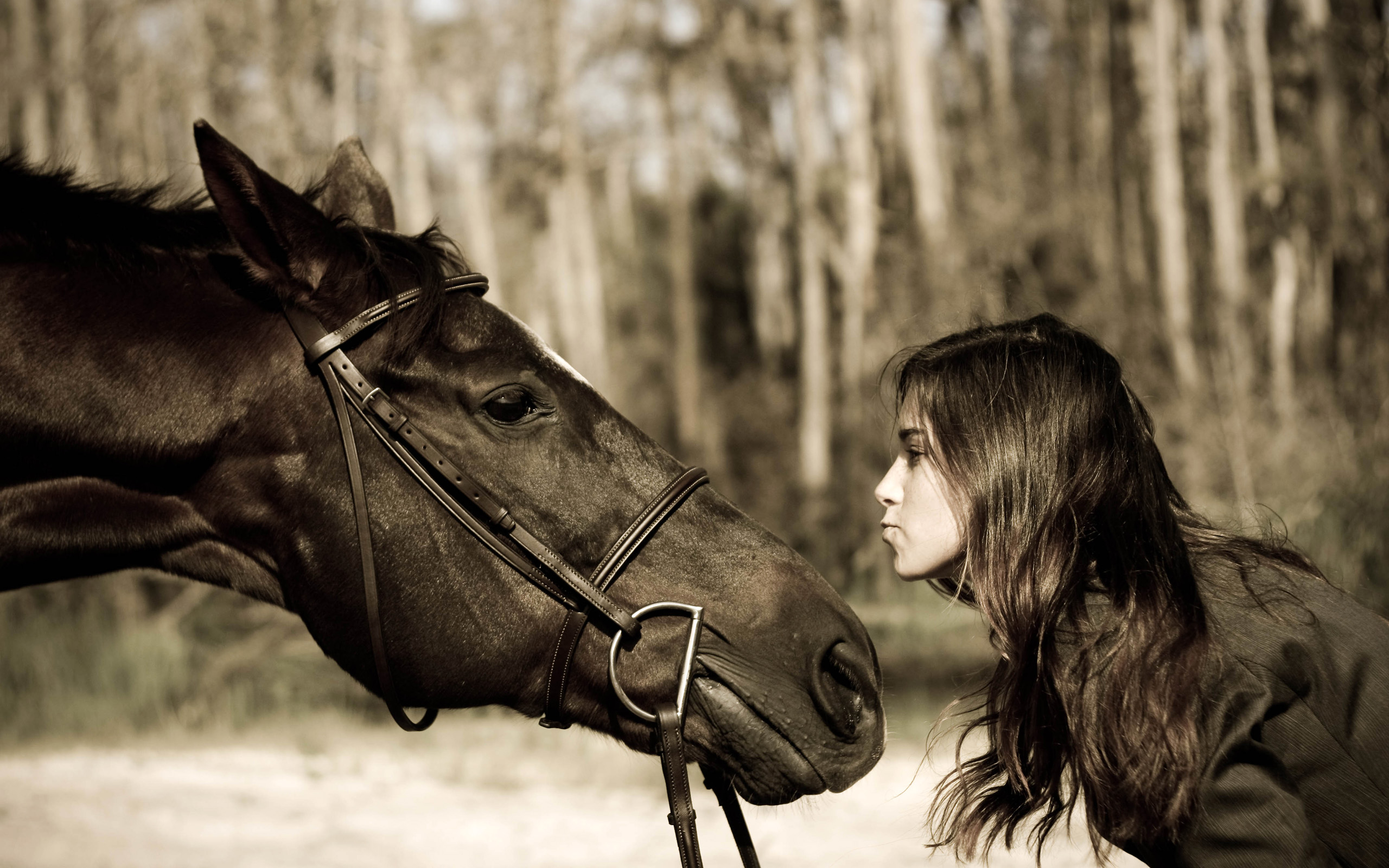 Horse Riding Wallpapers Hd Wallpapers