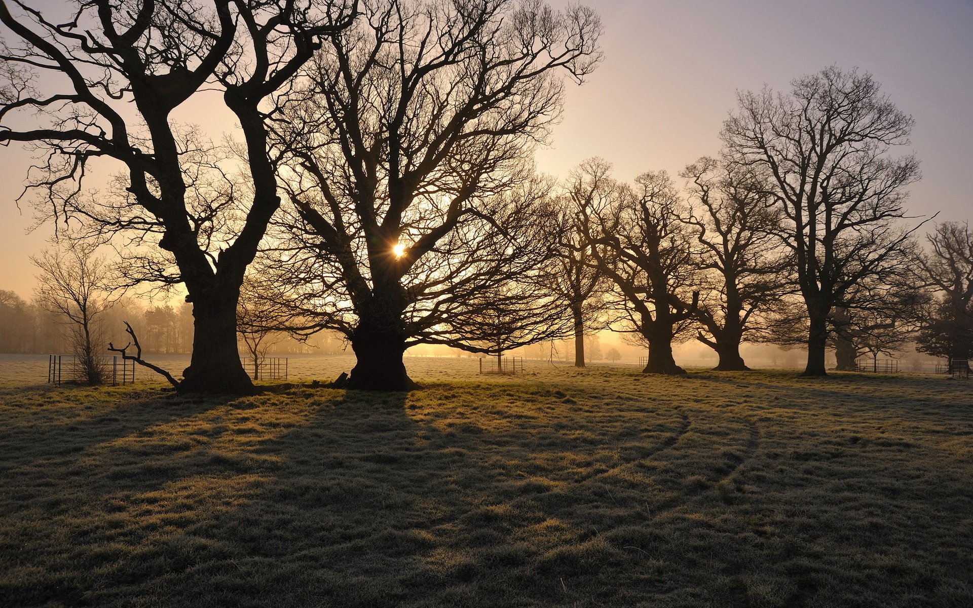 Sunlit Serenity: HD Nature Wallpaper with Radiant Sunbeams Through ...