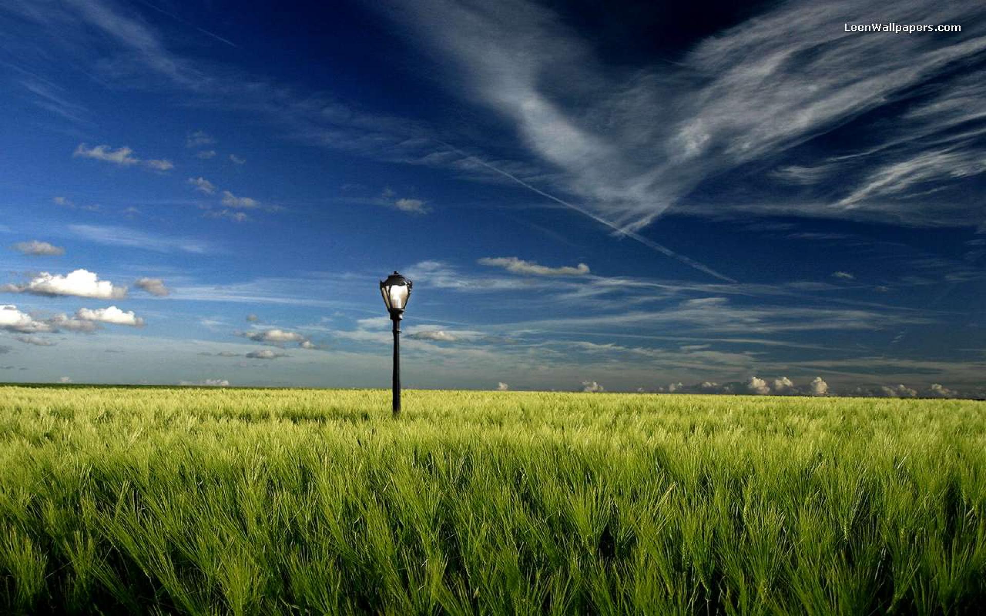 Download Cloud Grass Sky Light Man Made Lamp Post HD Wallpaper