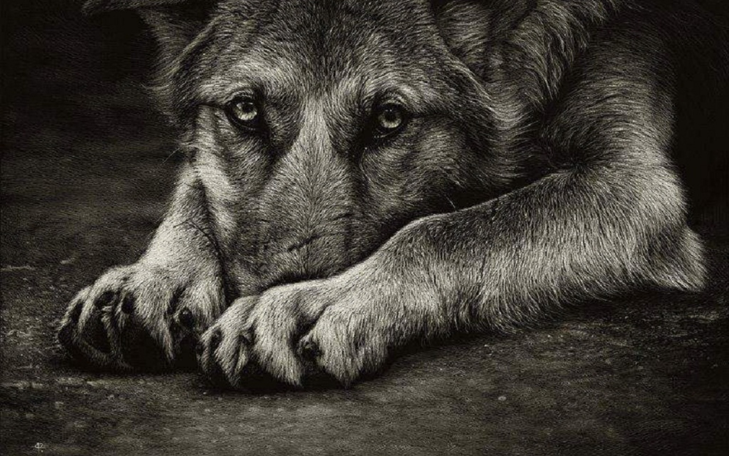 Download 2560x1600 Animals Drawing