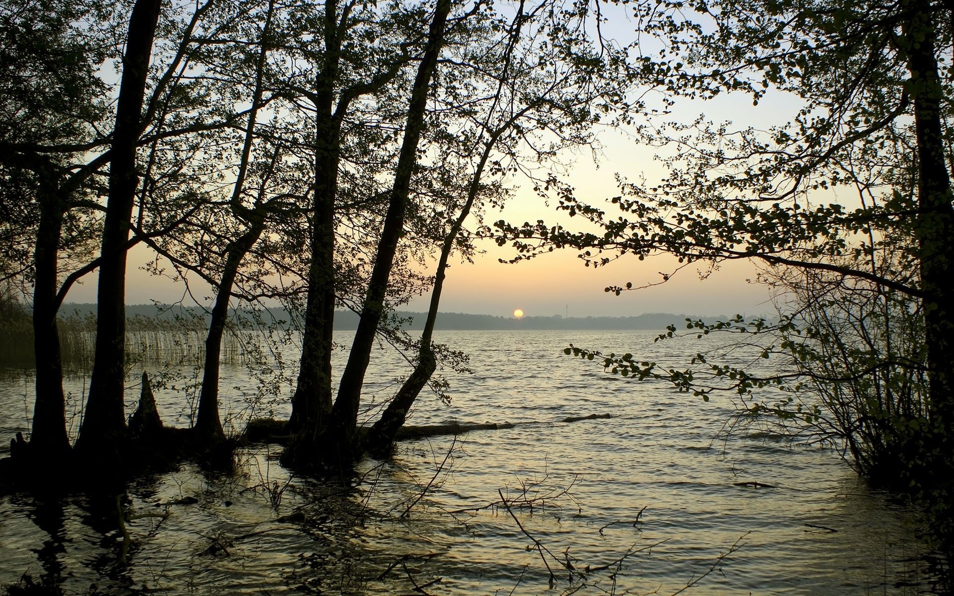 Download Nature Landscape HD Wallpaper | 1920x1200 | Wallpaper Abyss