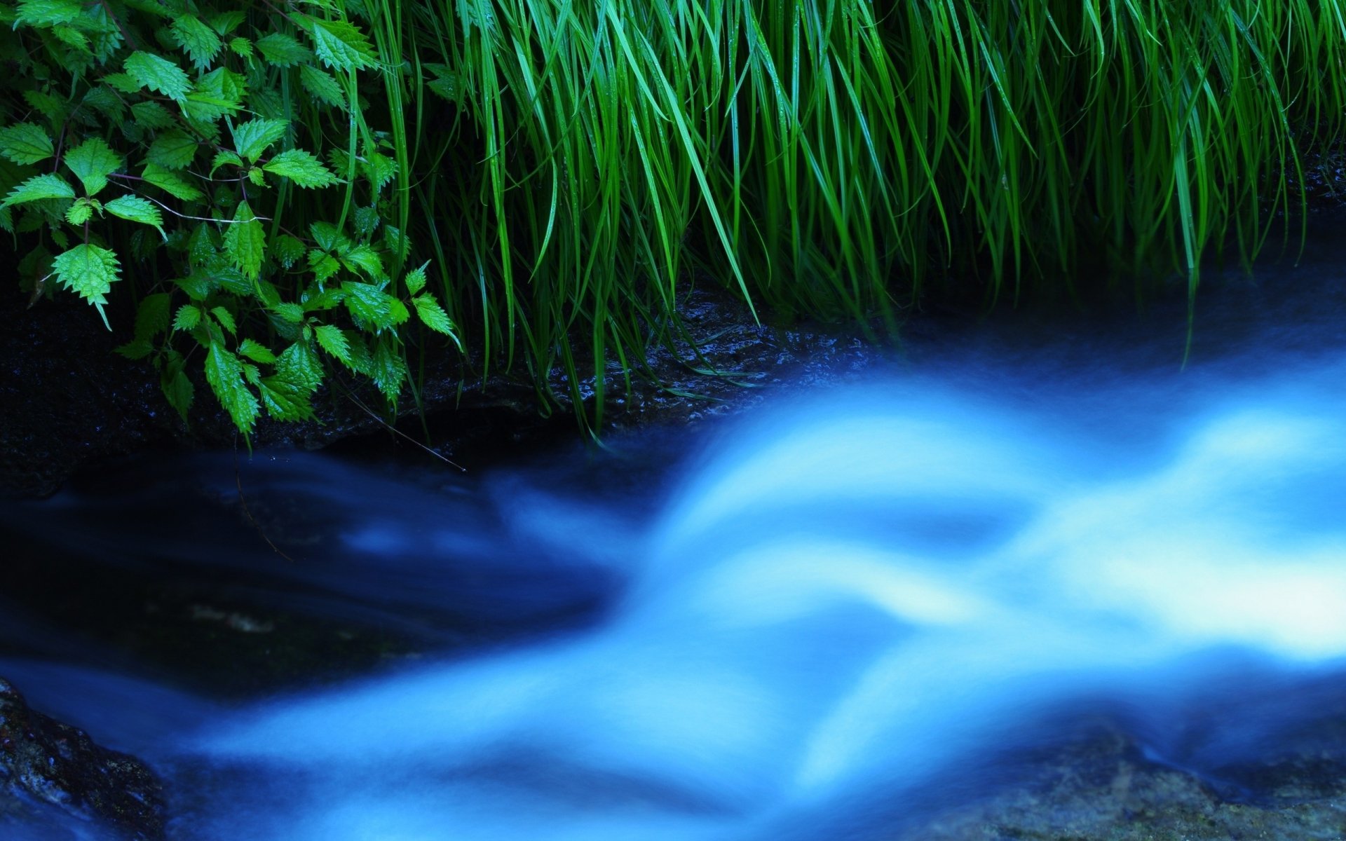 Nature Stream HD Wallpaper