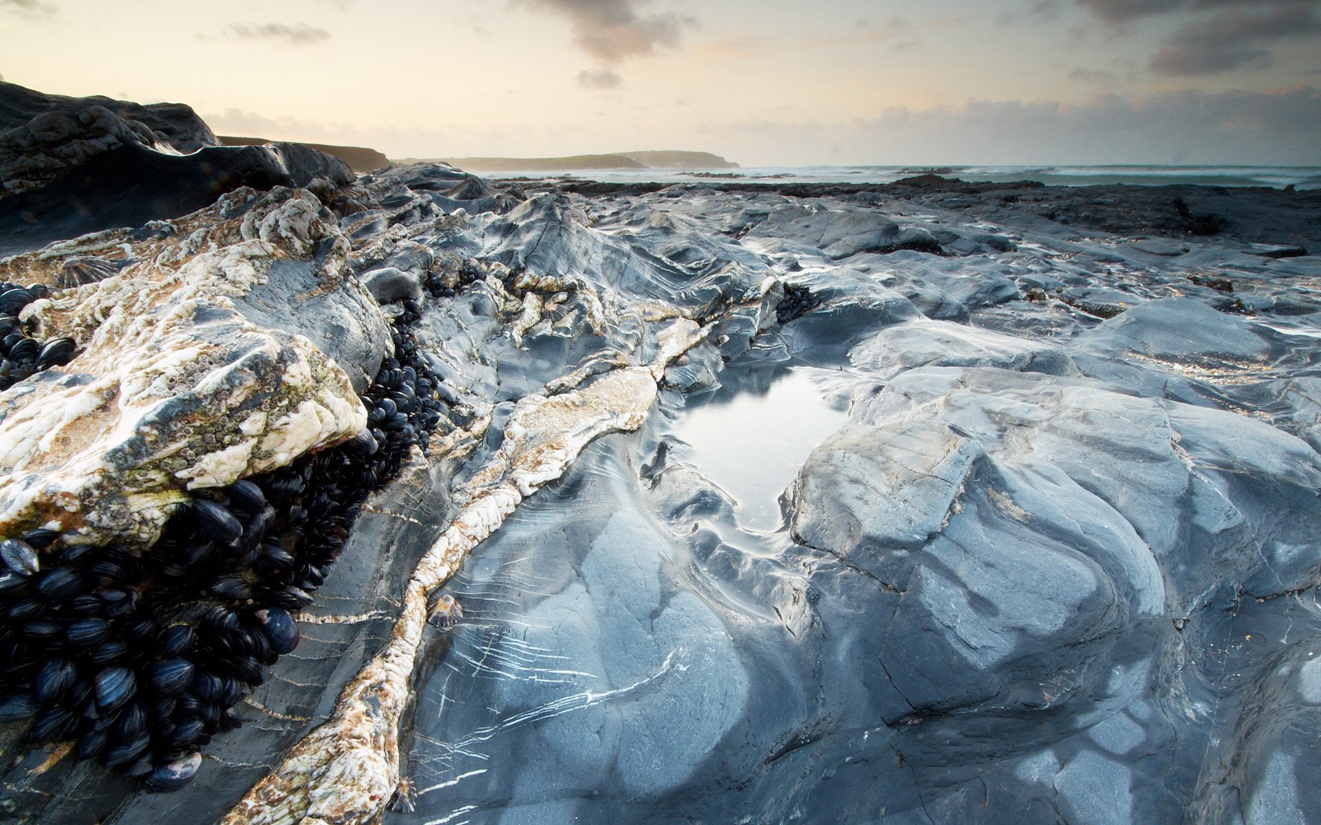 Download Nature Ice HD Wallpaper