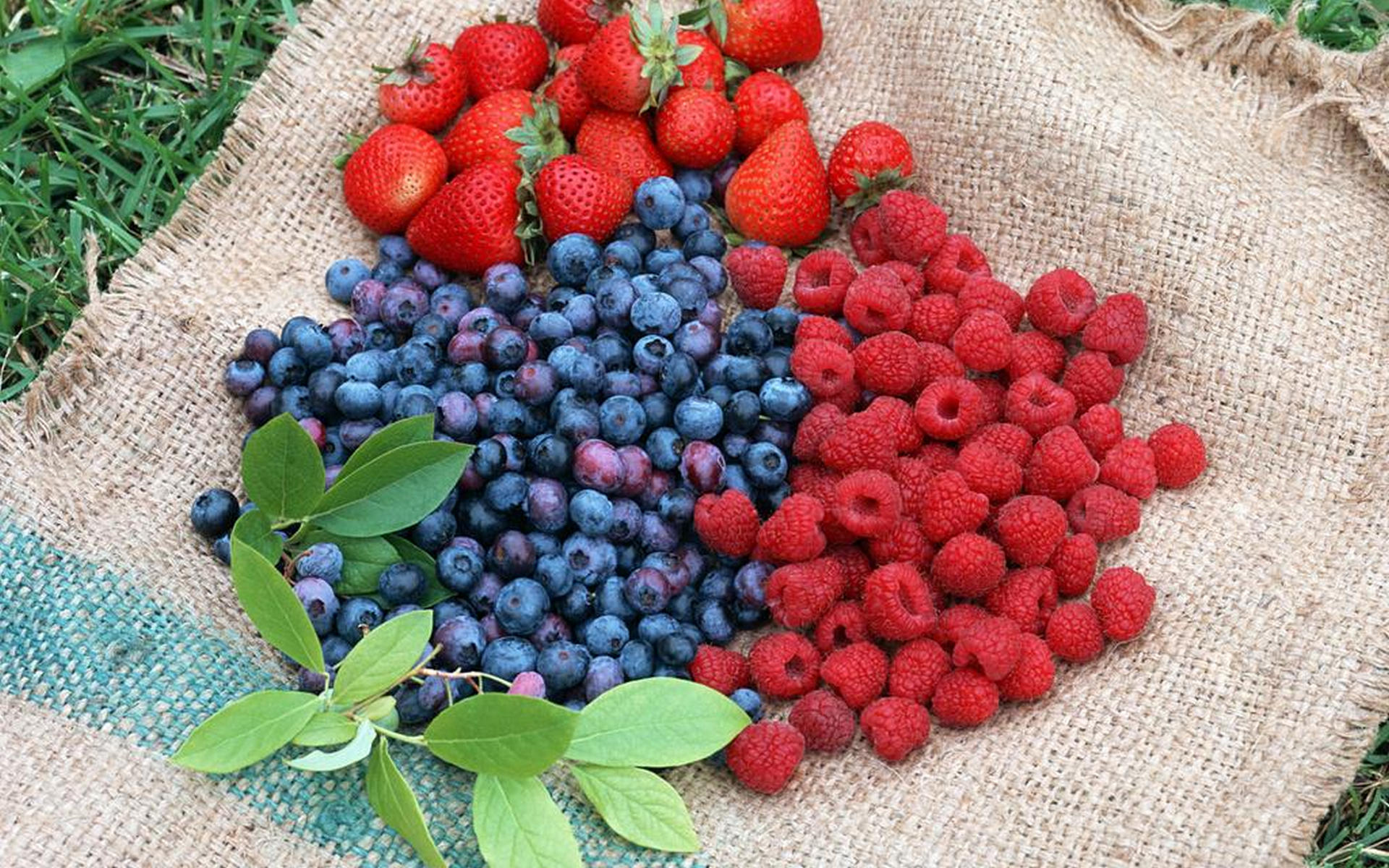 Vibrant Berry Medley: Fresh HD Food Wallpaper