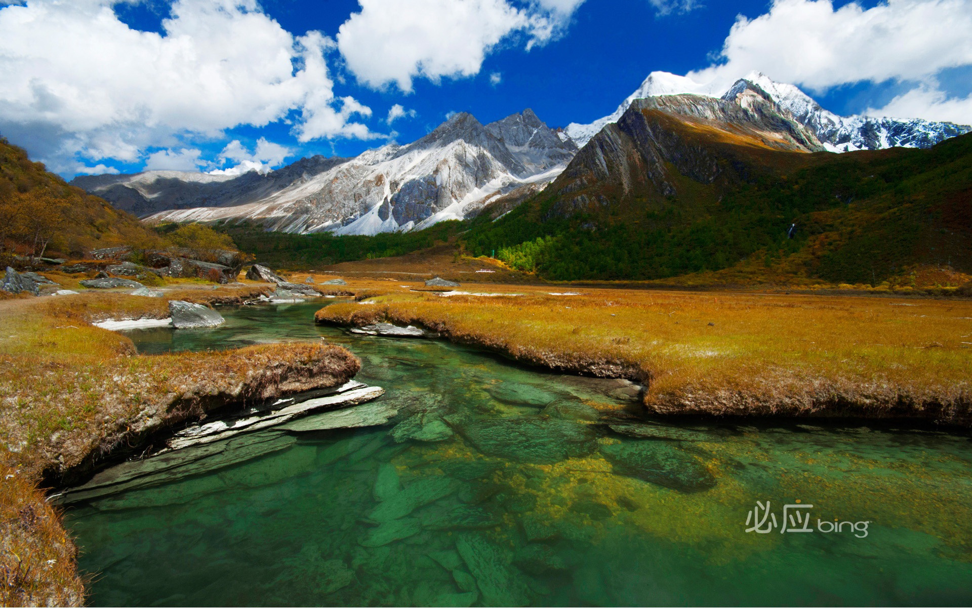 Download Nature River HD Wallpaper