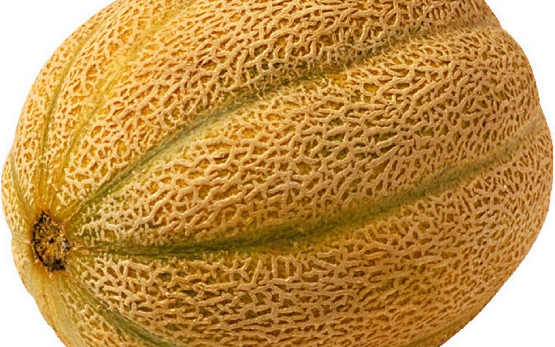 HD Delight: Fresh Melon Texture Close-Up Wallpaper