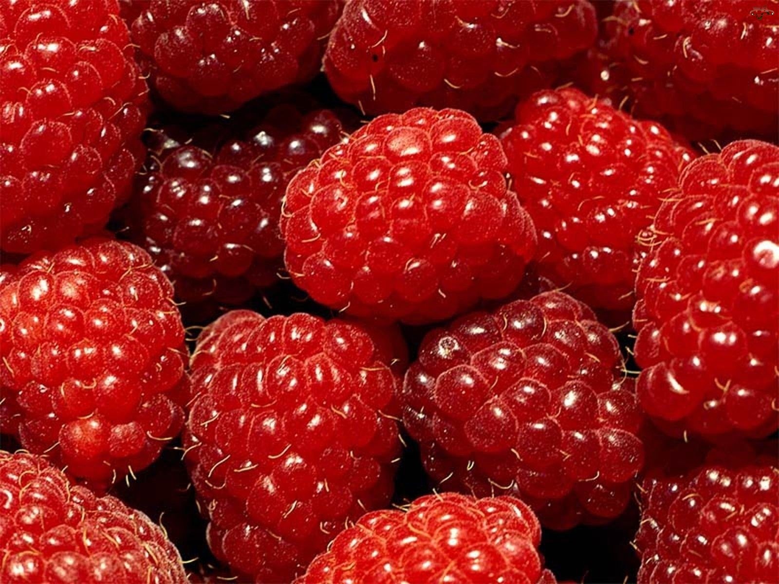 Luscious Raspberry Bites - HD Food Wallpaper Delight