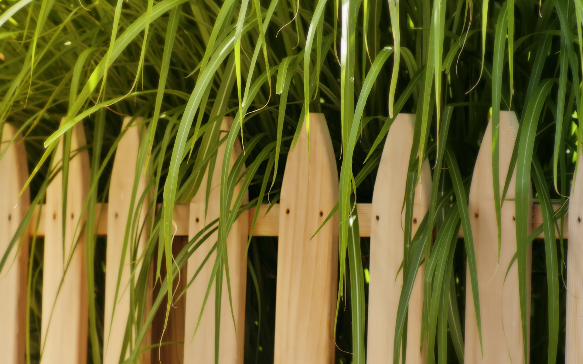 Download Man Made Fence HD Wallpaper