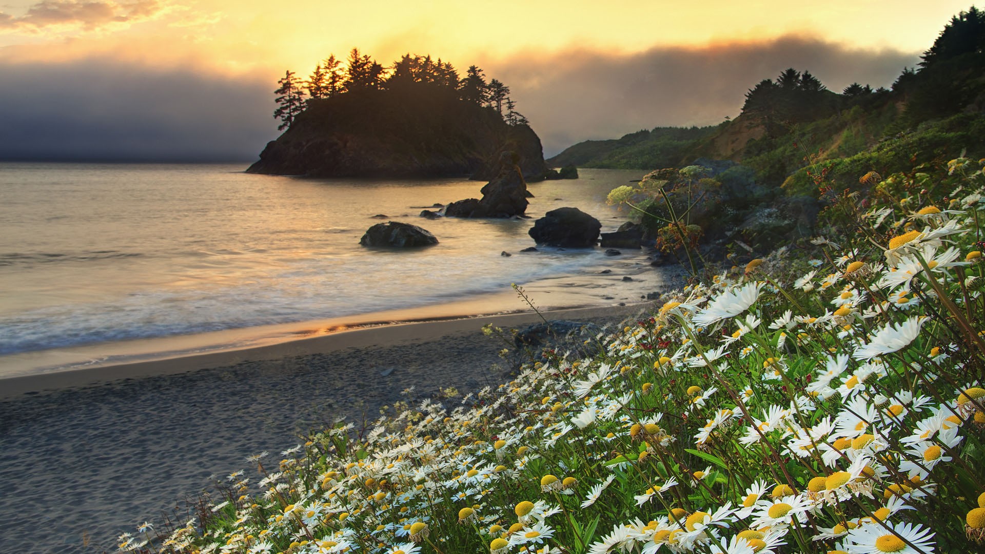 Download Nature Beach HD Wallpaper