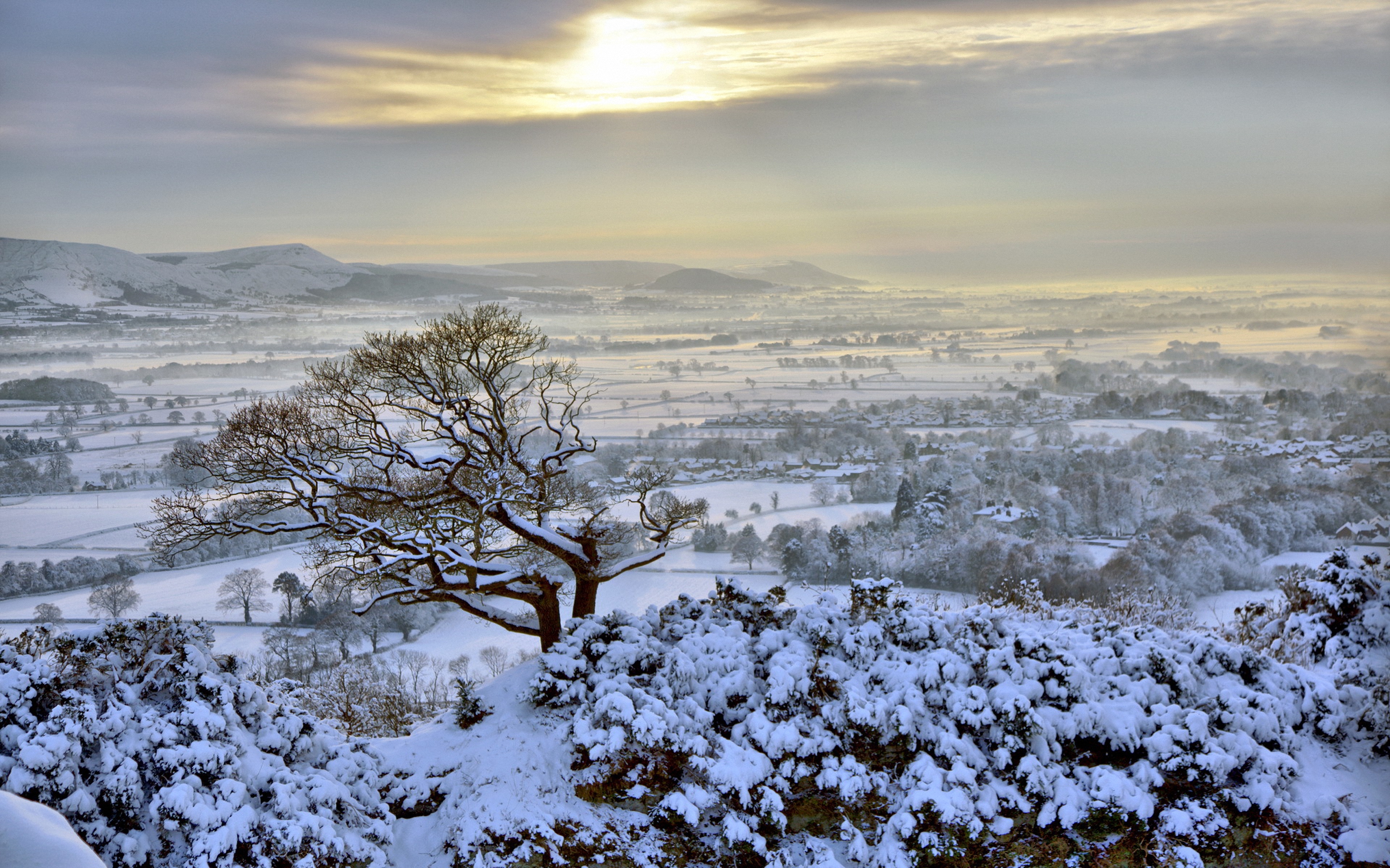 Download Nature Winter HD Wallpaper