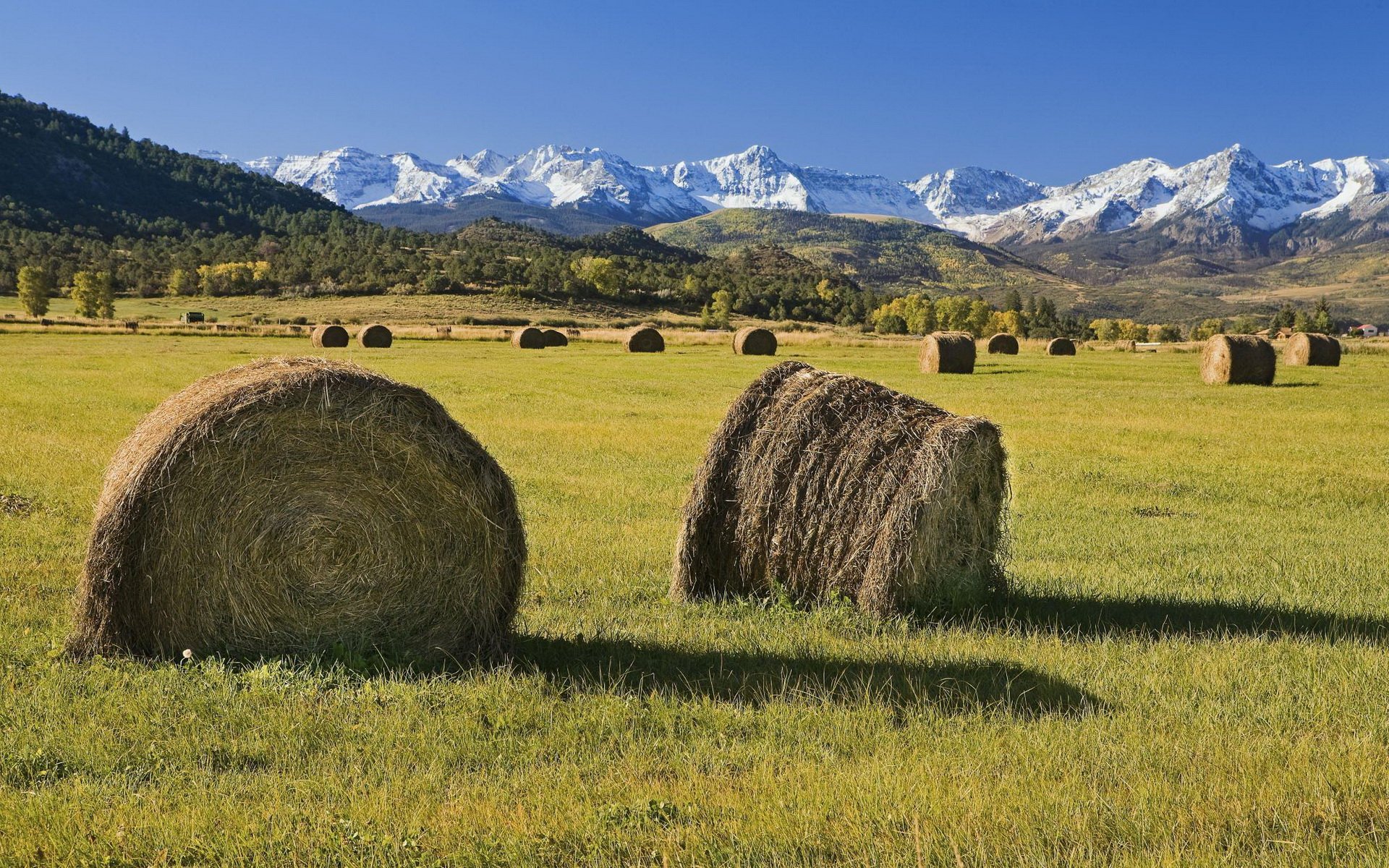 Golden Haystacks Under Snowy Peaks — HD Nature Wallpaper