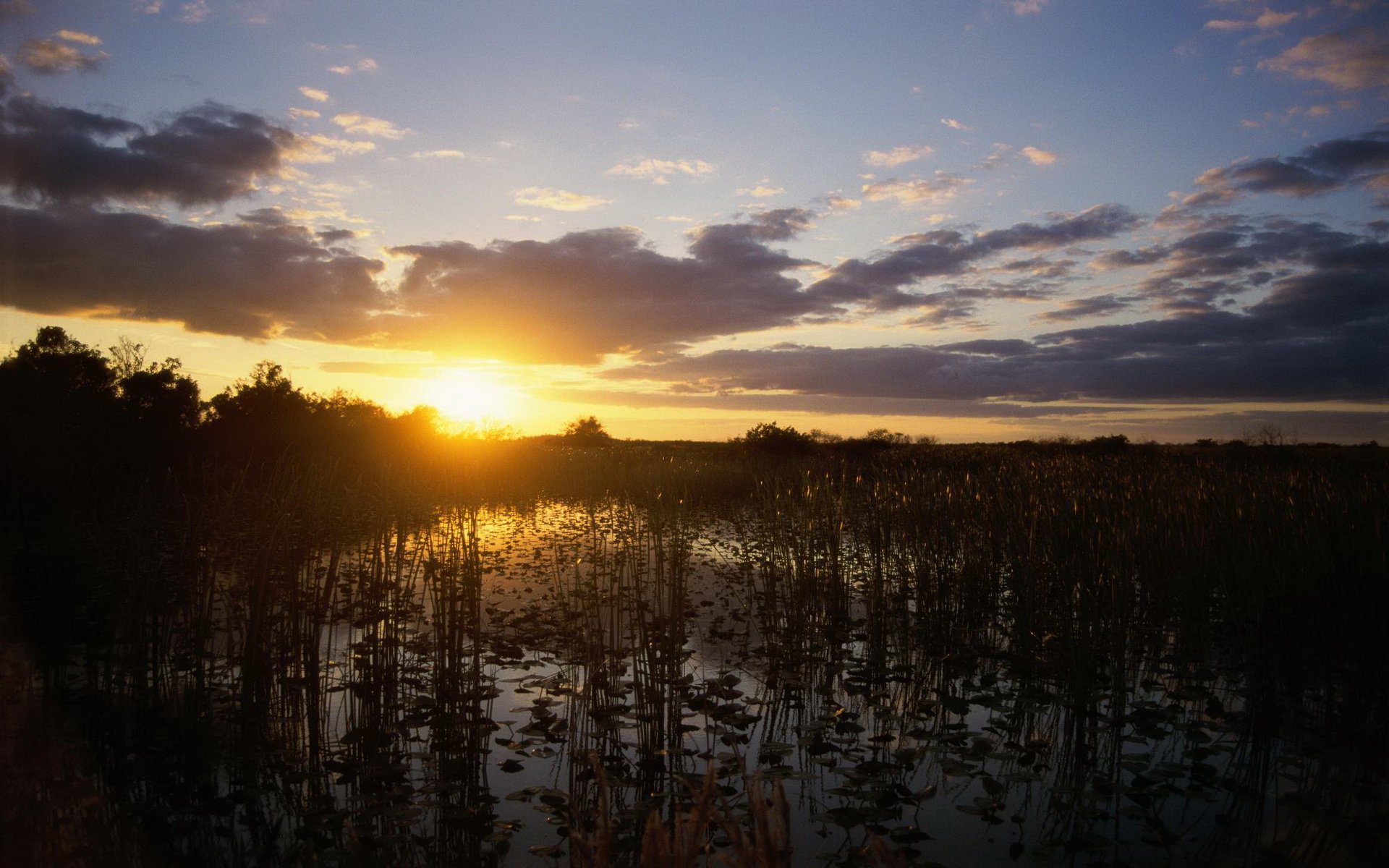 Download Nature Sunrise HD Wallpaper