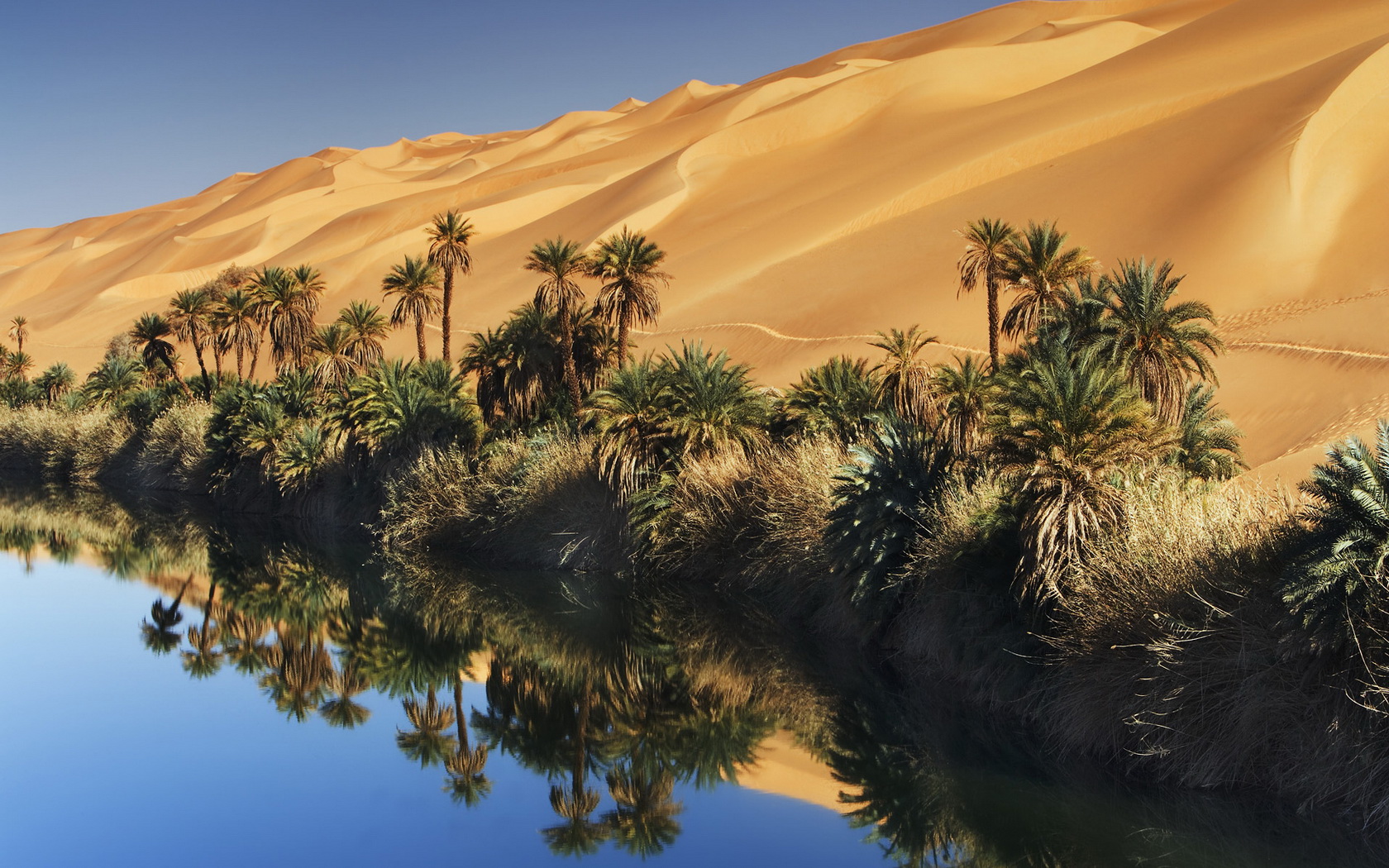 Download Nature Desert Wallpaper