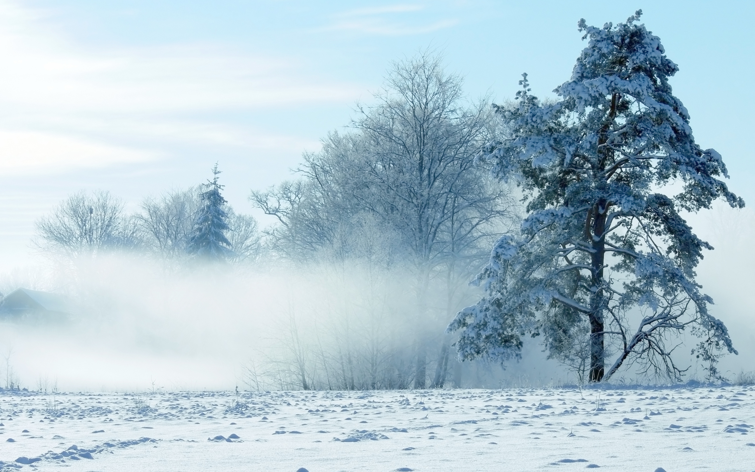 Download Nature Winter HD Wallpaper