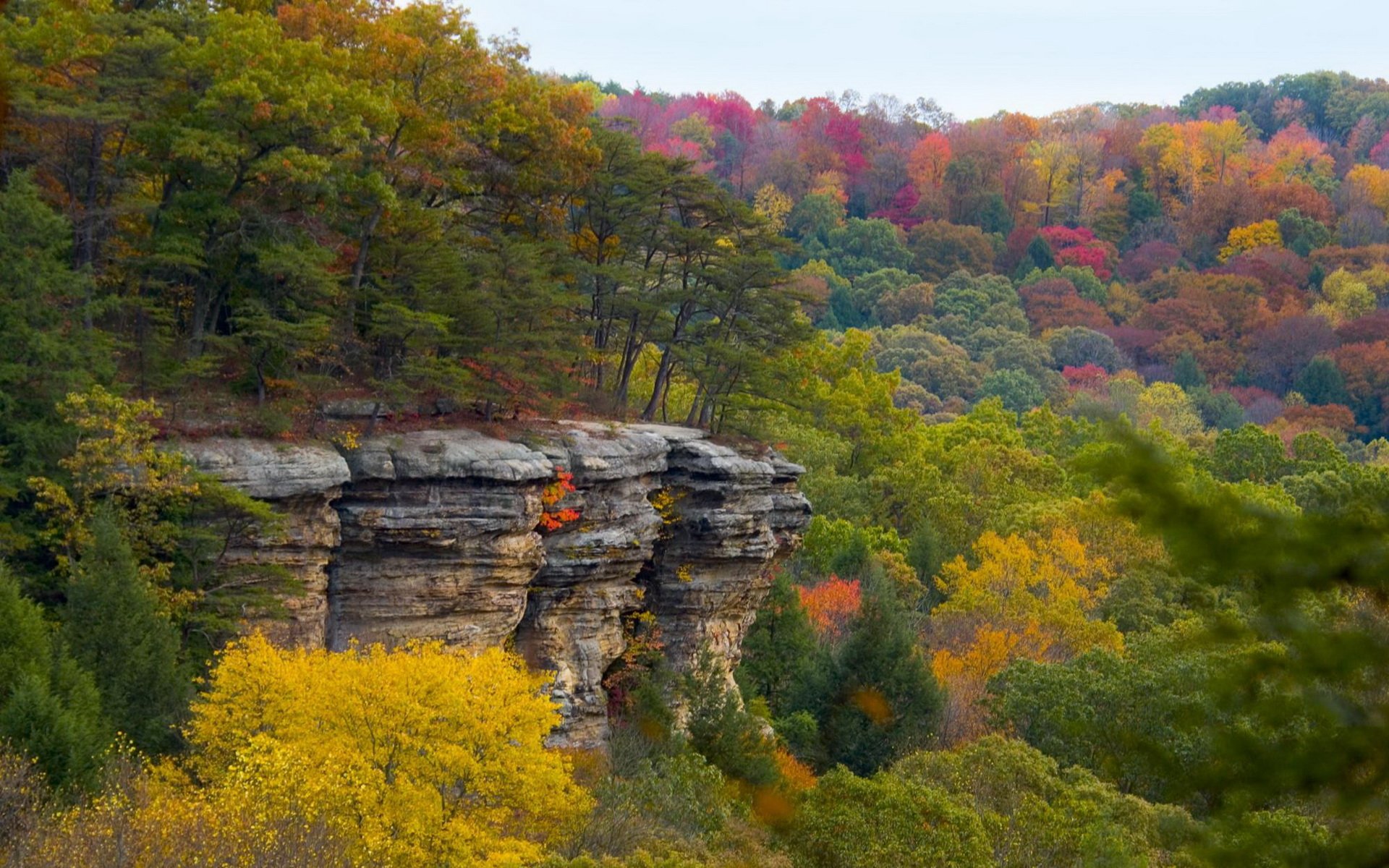 Colorful Fall Forest Cliff — HD Wallpaper
