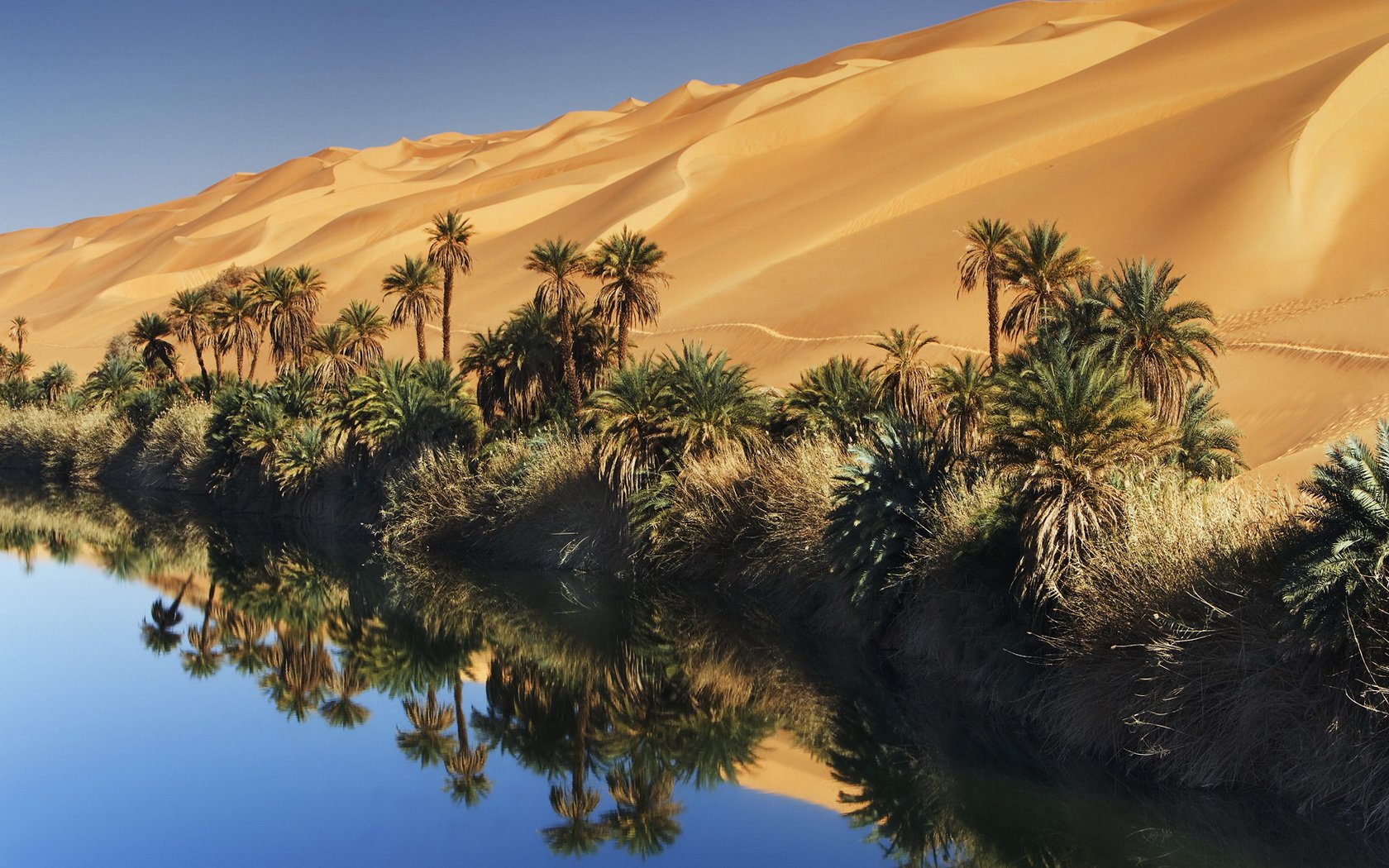 Desert Oasis Serenity - Stunning HD Nature Wallpaper