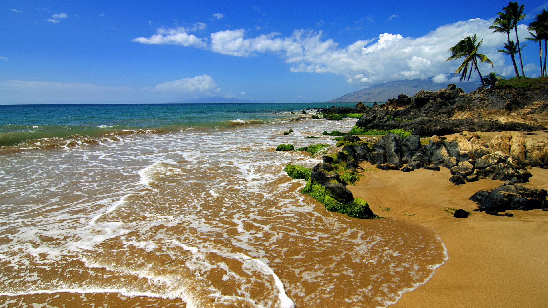 HD Beach Bliss: Nature's Serene Shoreline Escape