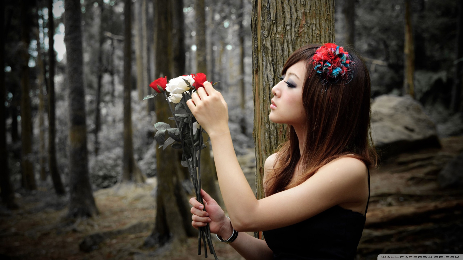 Cute Girl Wallpaper Natural Hd Wallpapers Hd