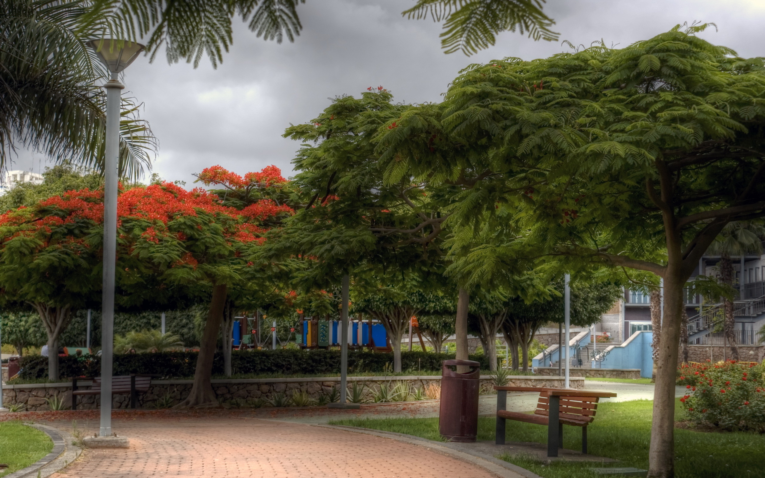 HD Park Serenity: Lush Trees and Tranquil Paths Photography Wallpaper