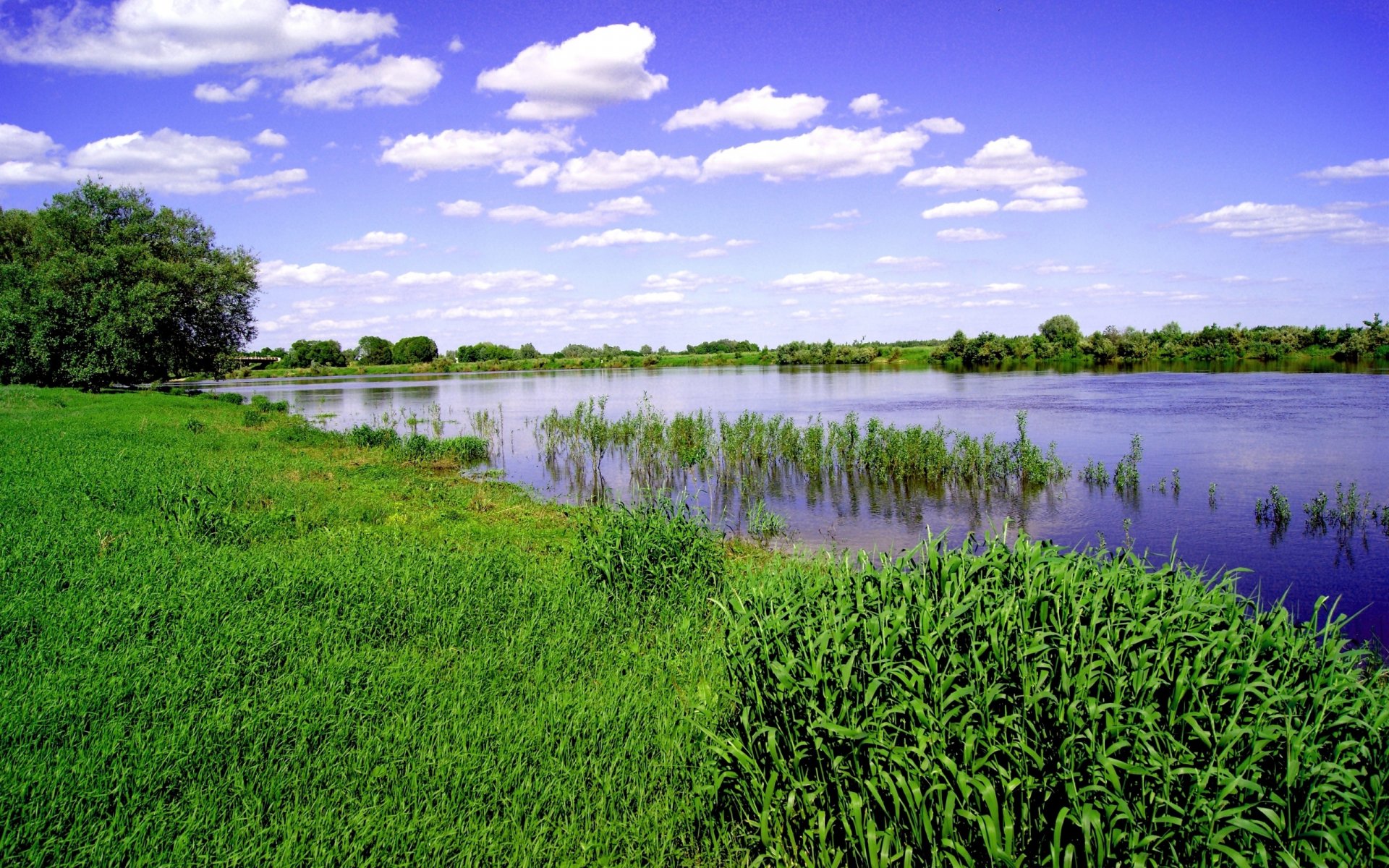 Download Nature River HD Wallpaper