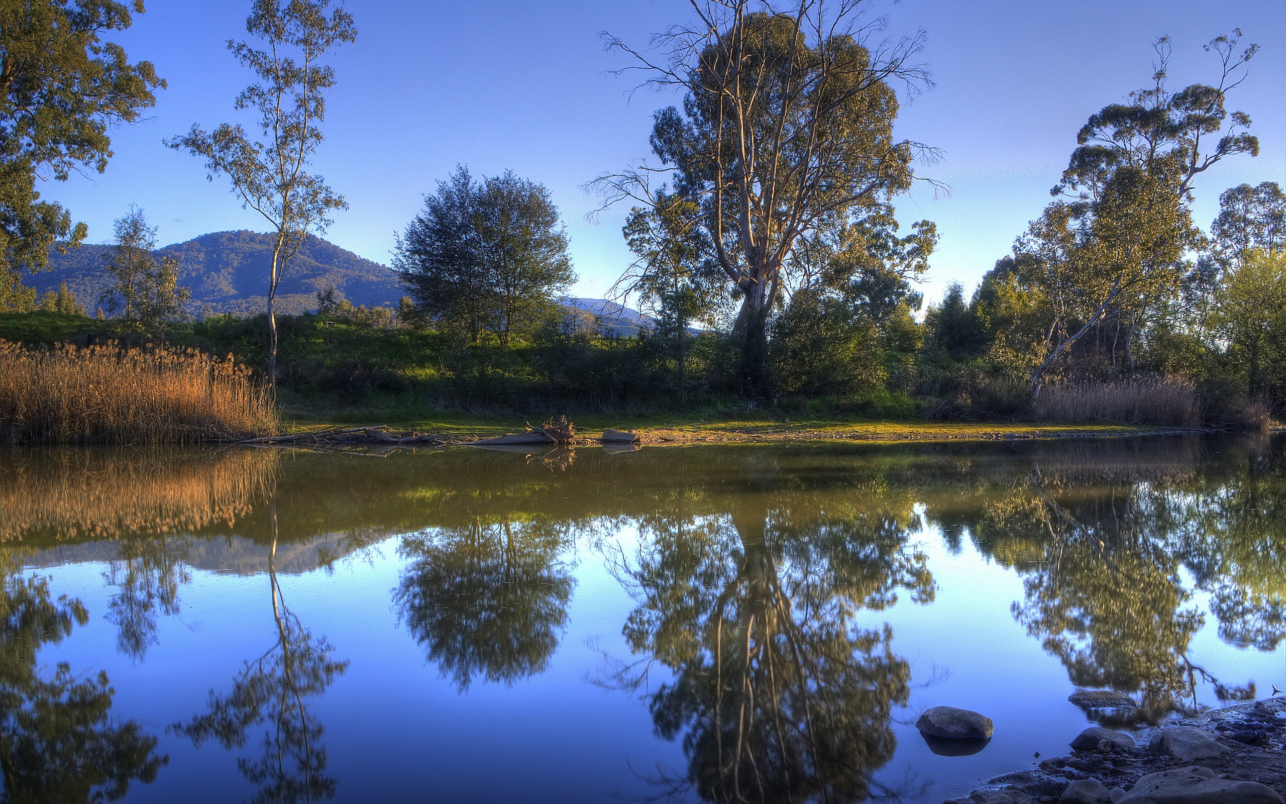 Download Nature Reflection HD Wallpaper