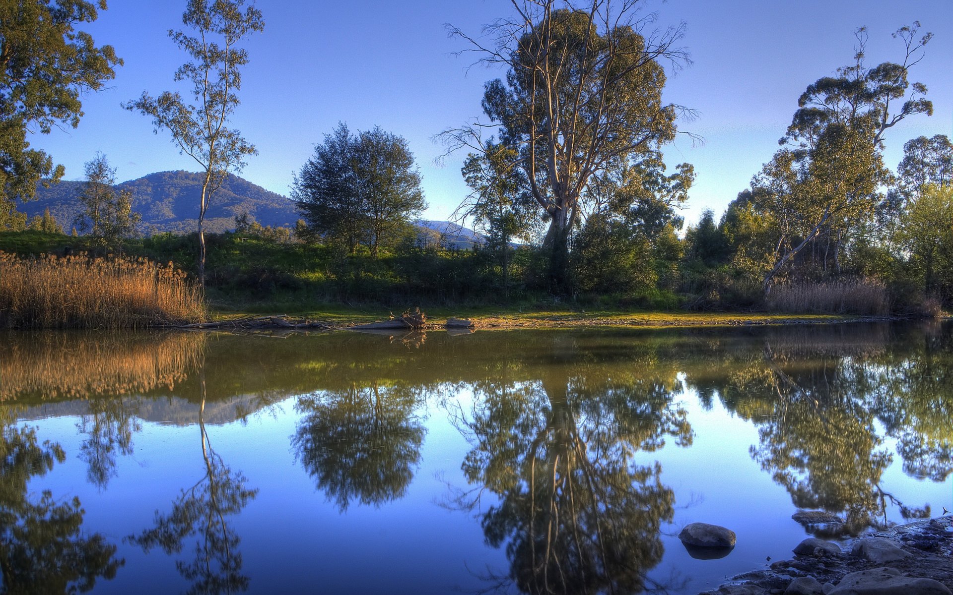 Download Nature Reflection HD Wallpaper