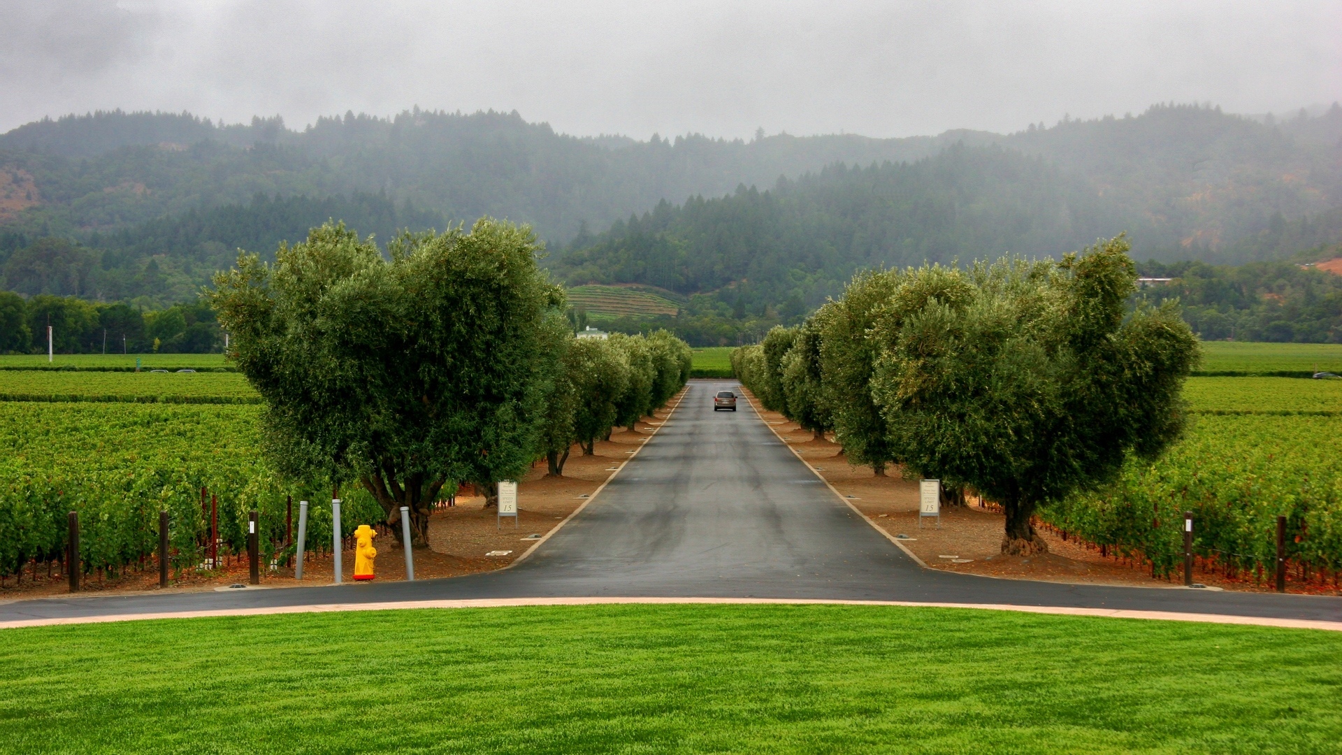 Download Man Made Road HD Wallpaper