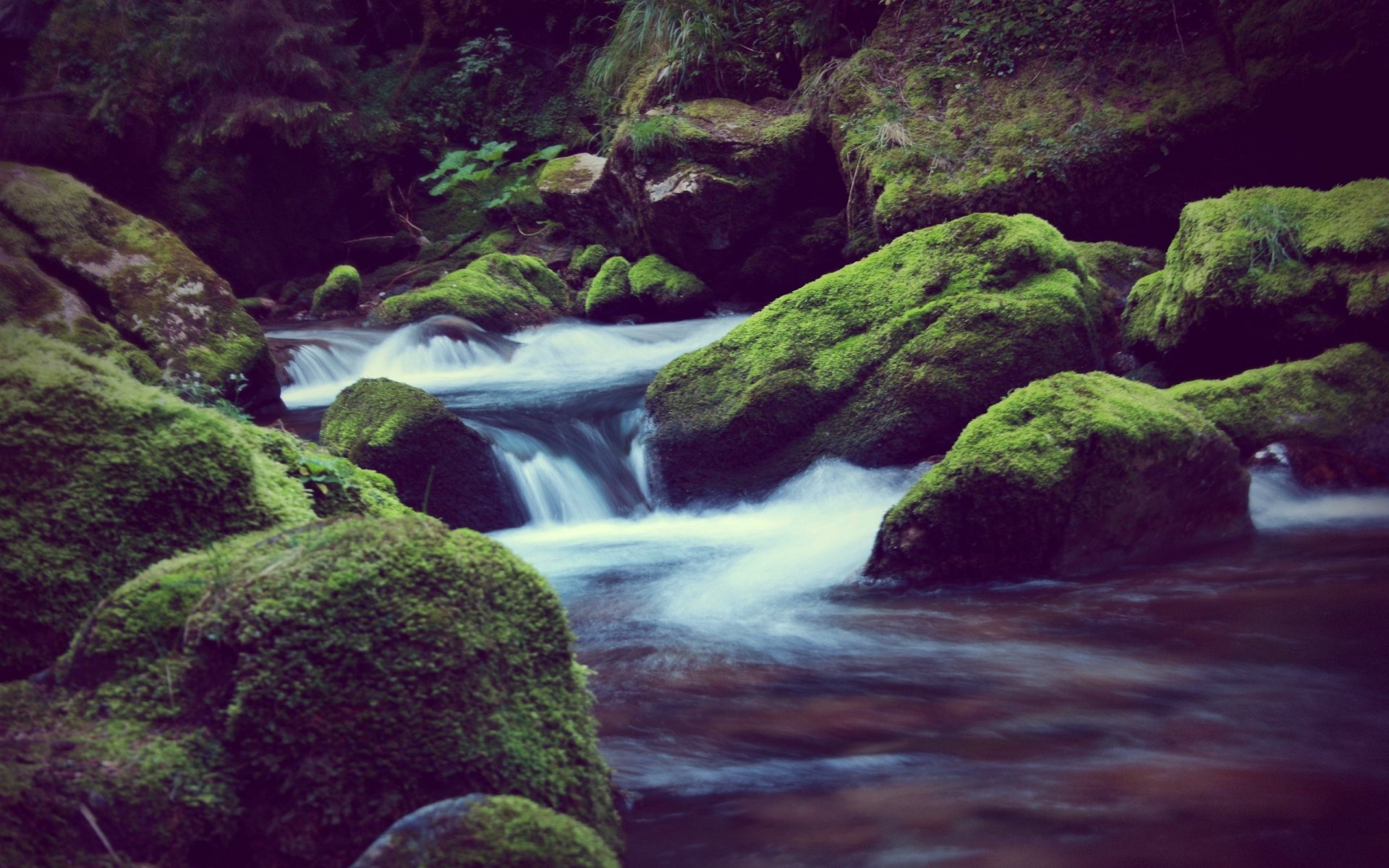 Download Nature Stream HD Wallpaper