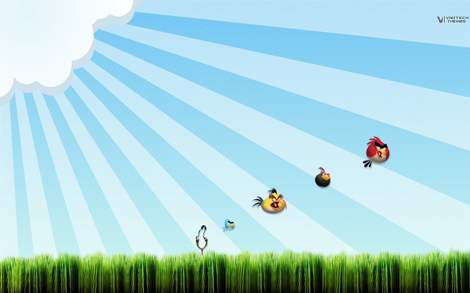 Angry Birds HD Wallpaper | Background Image | 1920x1200