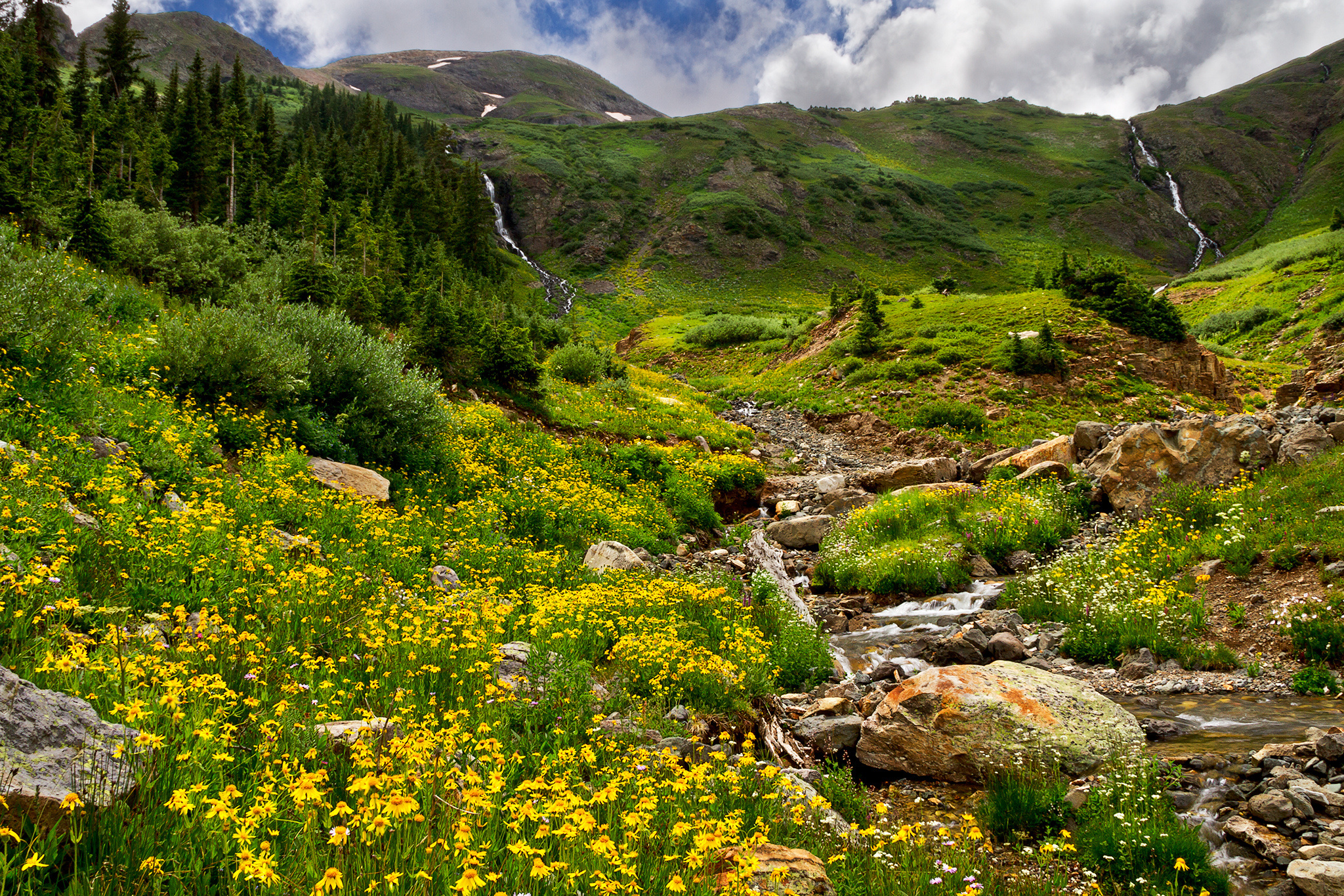 Serene Stream: HD Wallpaper of a Flower-Filled Meadow and Majestic ...