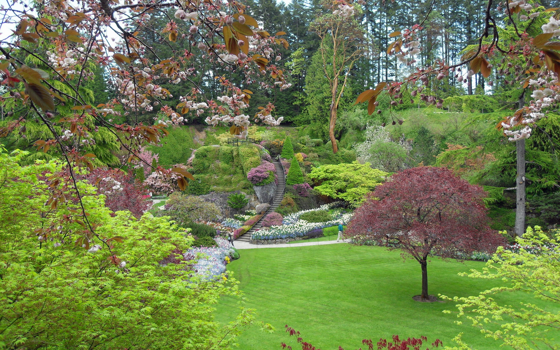 Download Photography Park HD Wallpaper