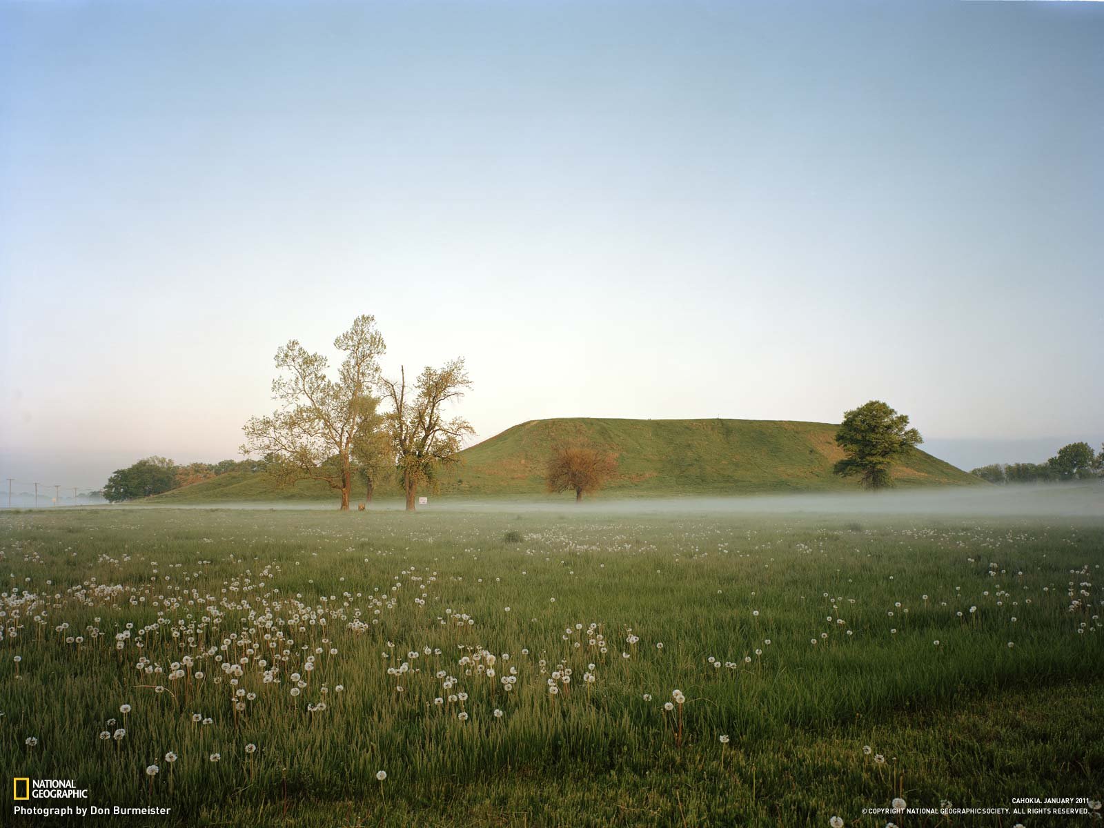 Download Nature Field Wallpaper | 1600x1200 | Wallpaper Abyss