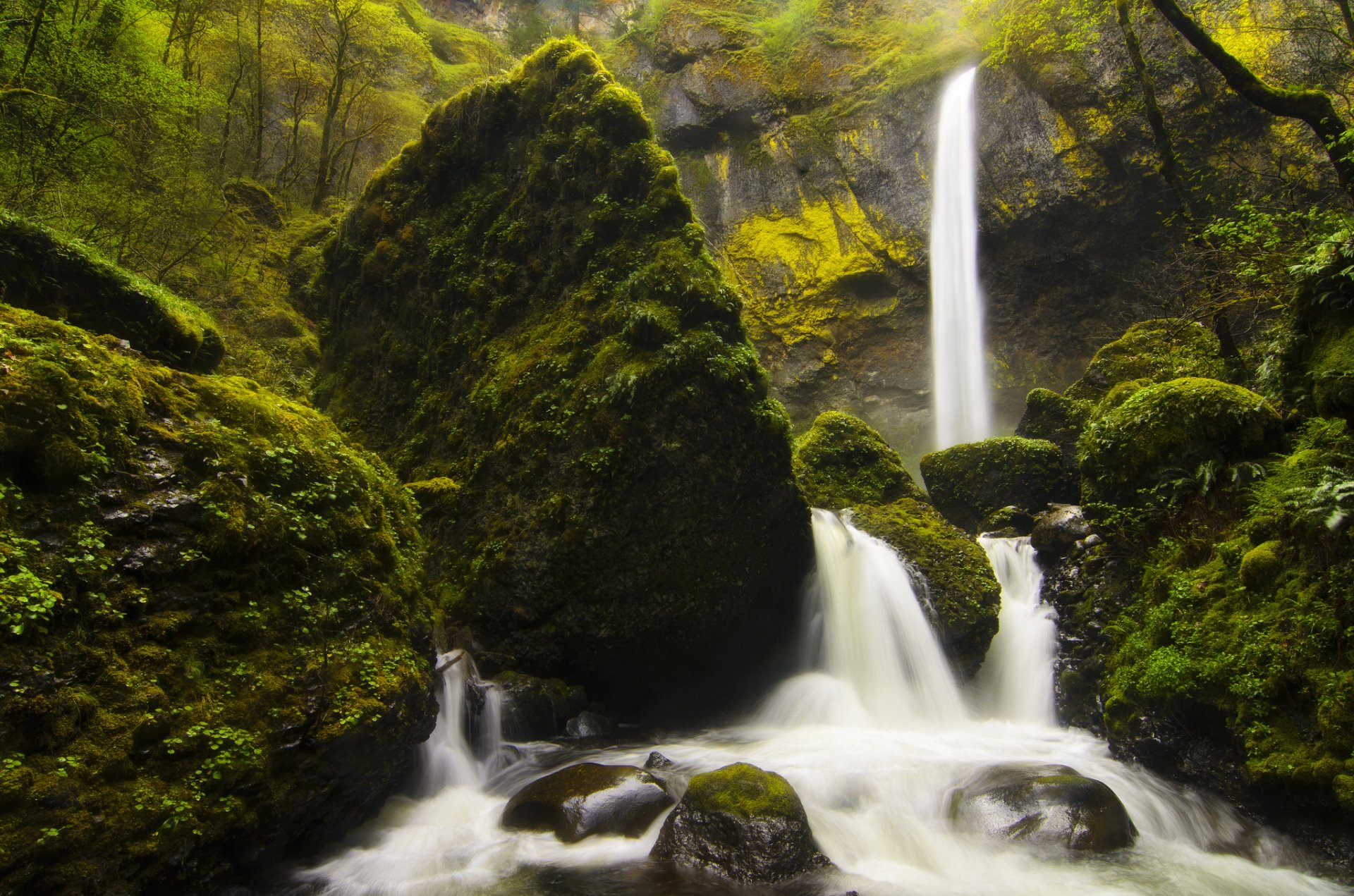 Majestic Forest Waterfall: Scenic HD Nature Landscape with River Flow ...