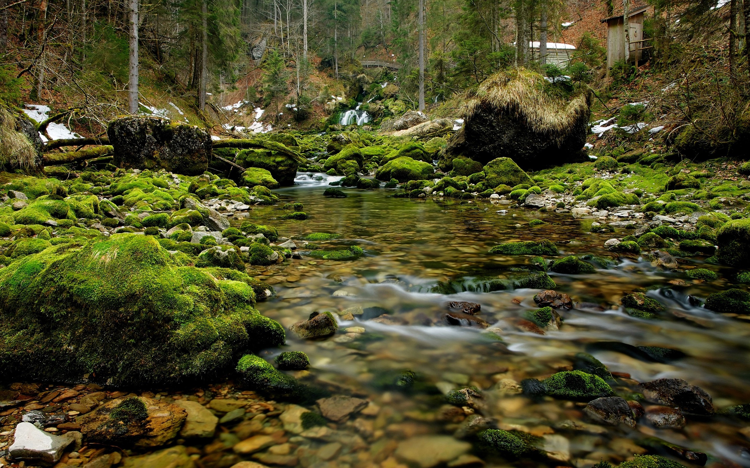 Download Nature Stream HD Wallpaper