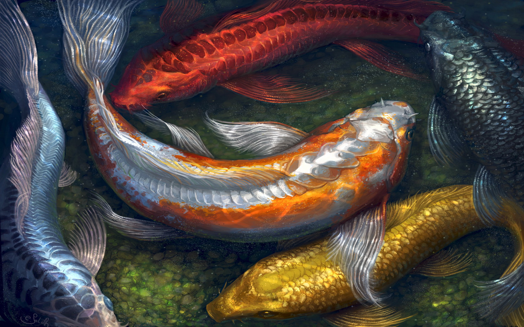 Koi Wallpaper